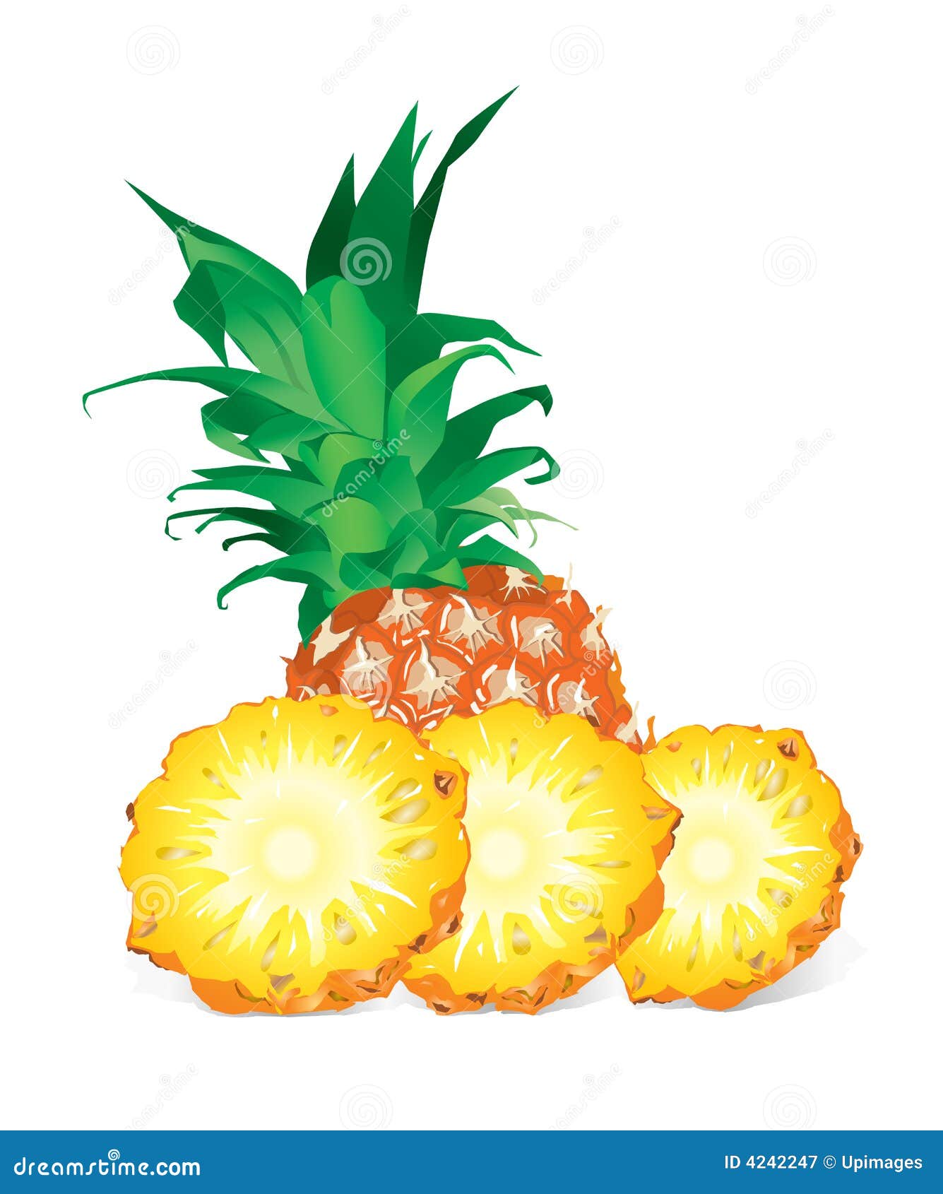 Pineapple (illustration) stock vector. Illustration of refreshment ...