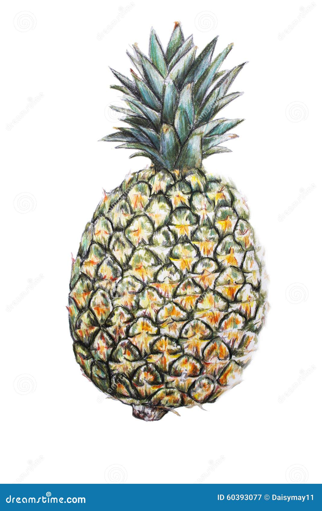 Pineapple Illustration Hand Drawing Royalty-Free Cartoon ...
