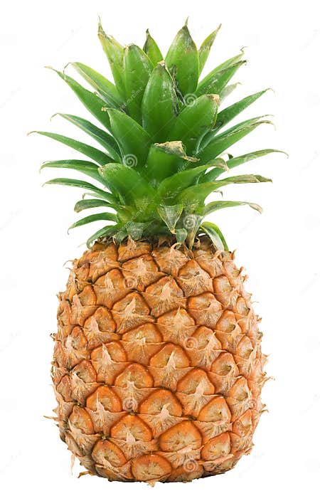 Pineapple isolated stock photo. Image of juicy, color - 3035098