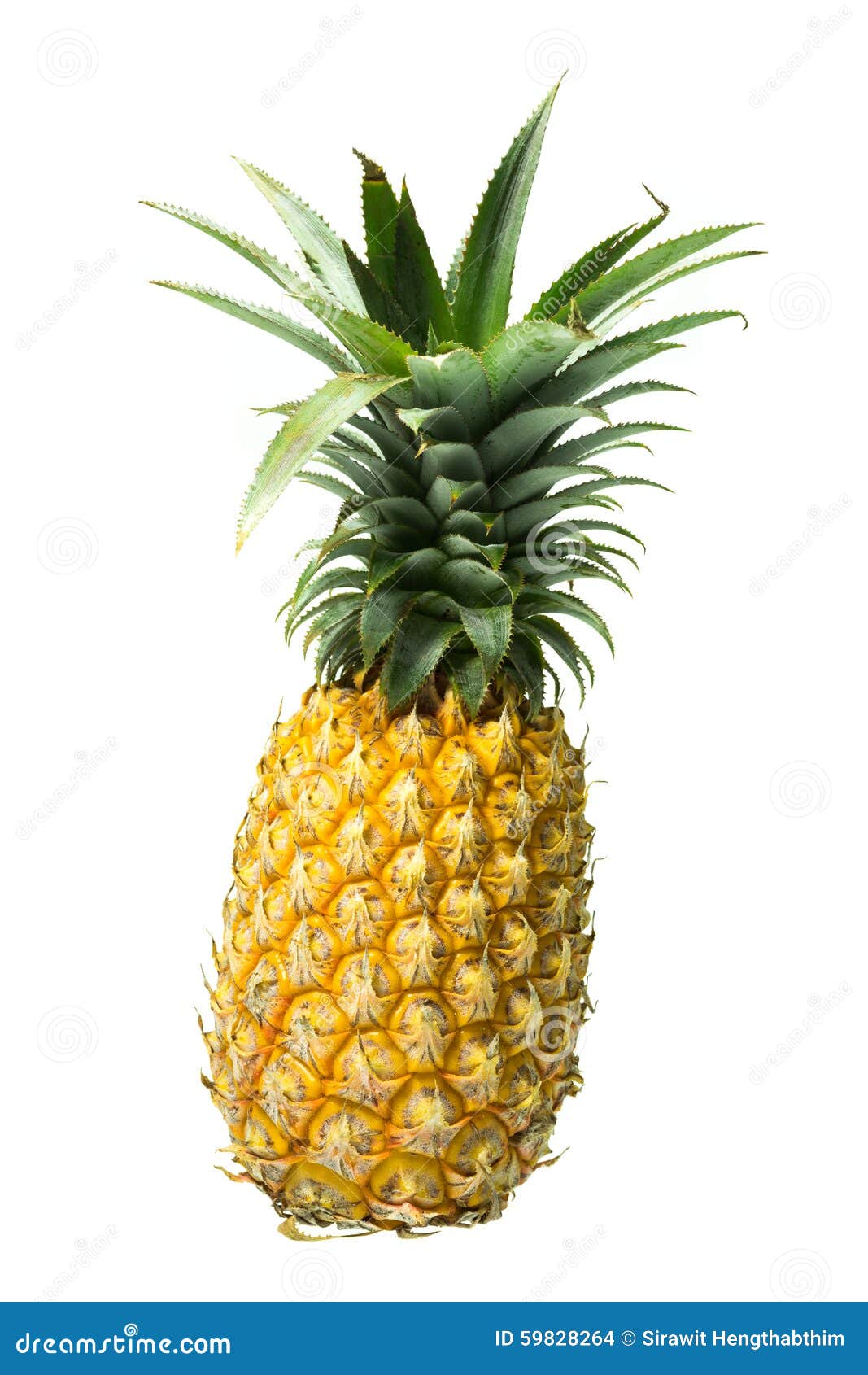 Pineapple isolated 1 stock photo. Image of food, freshness - 59828264