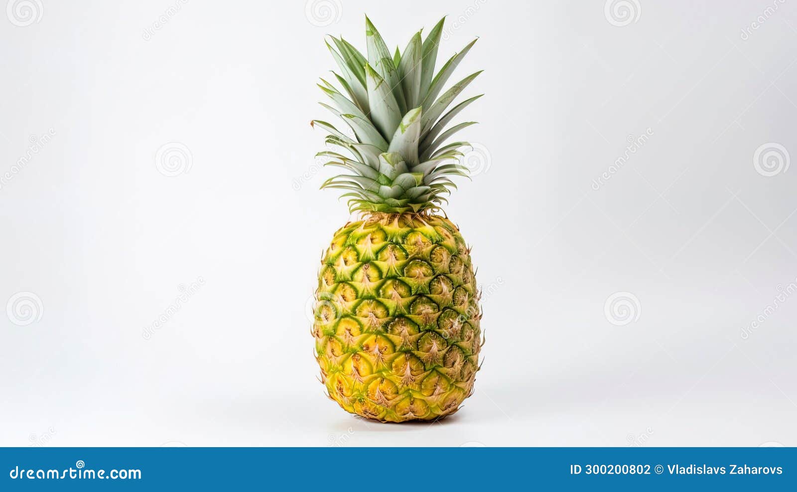 Pineapple in Isolation on a White Background Stock Illustration ...