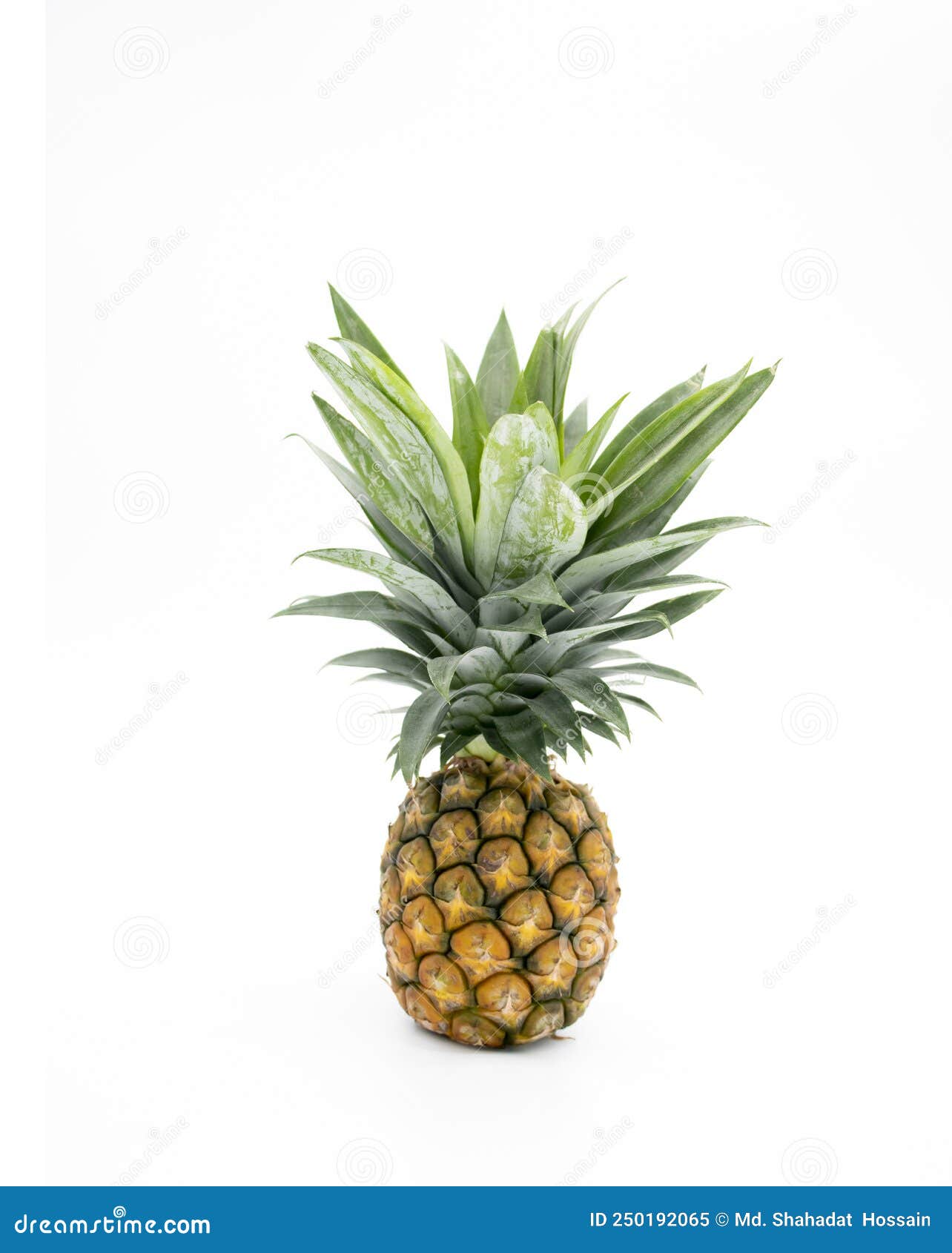 Pineapple with Leaves Isolate on White Background, Fresh Pineapple ...