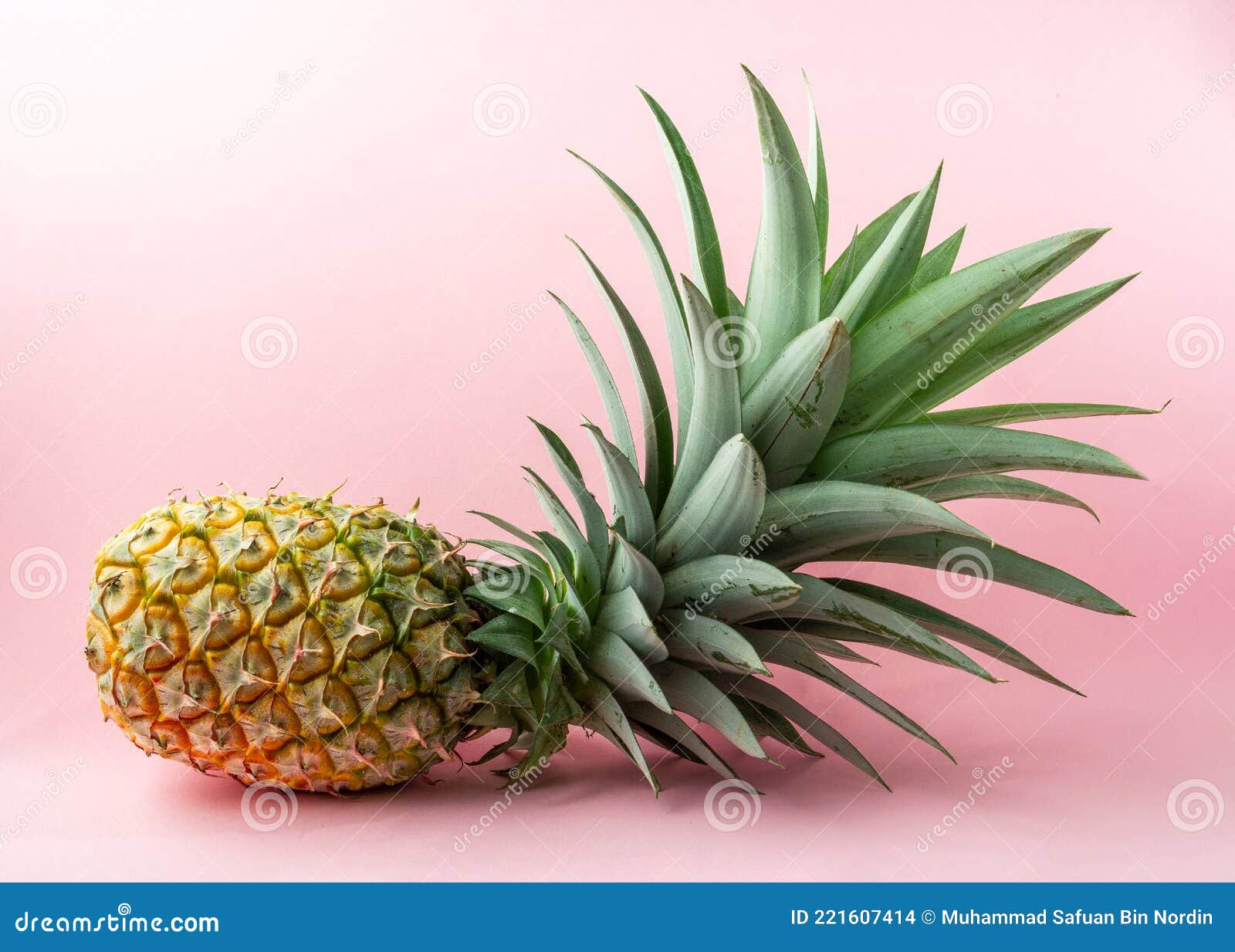 A Pineapple on Light Pink Background Stock Photo - Image of decor ...