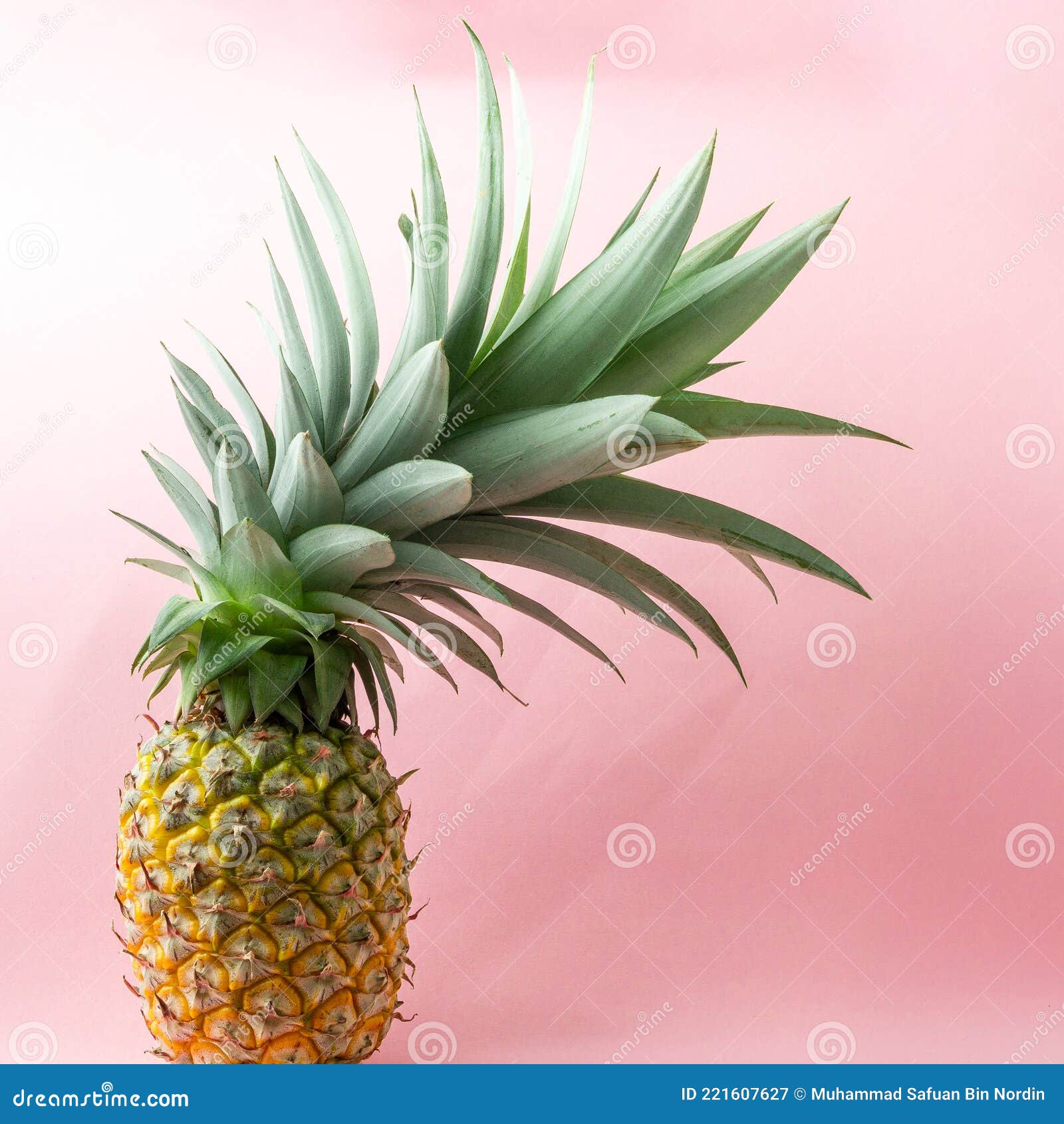 A Pineapple on Light Pink Background Stock Image - Image of plant ...