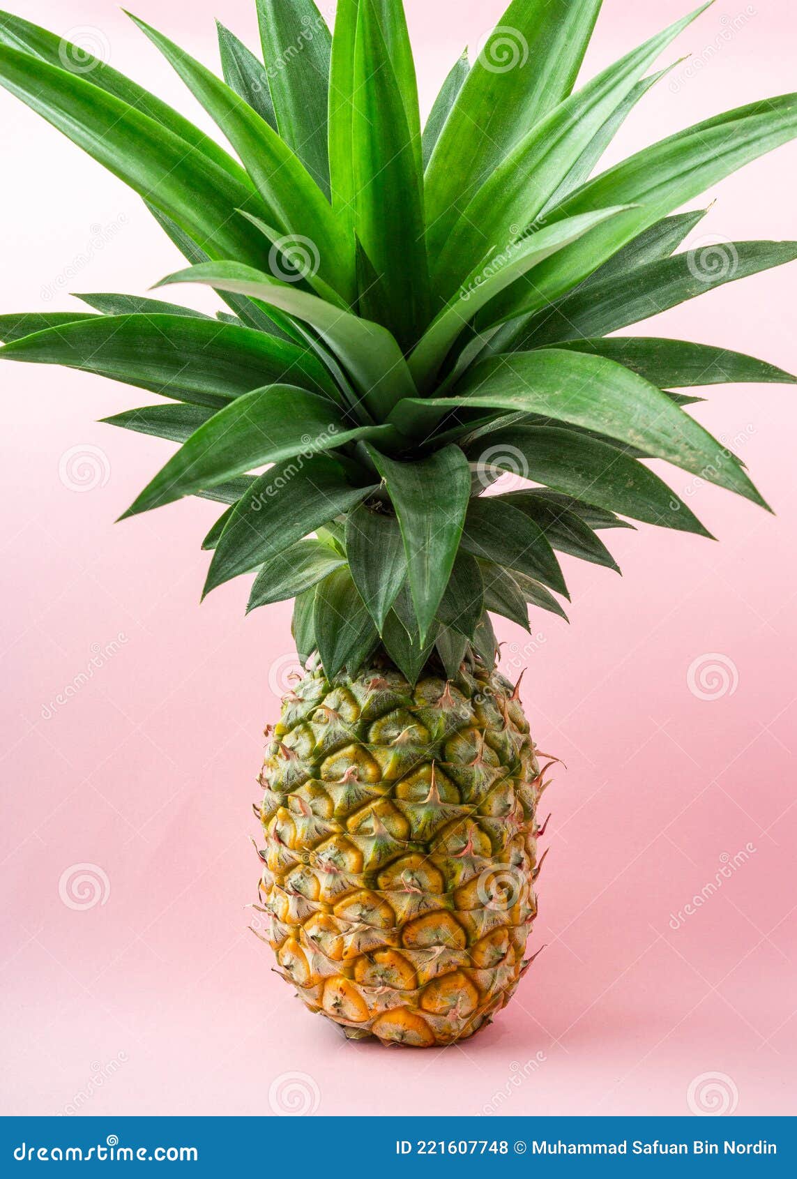 A Pineapple On Light Pink Background Royalty-Free Stock Photo ...