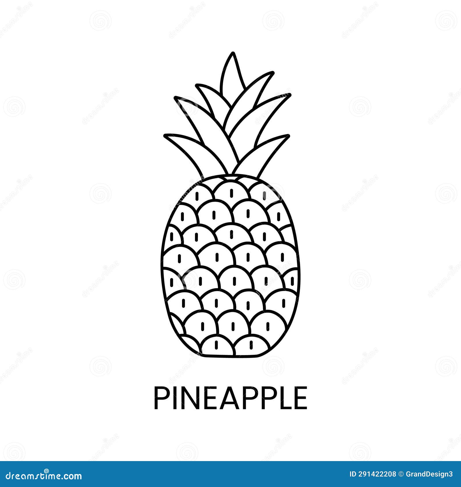 Pineapple Line Icon in Vector, Tropical Fruit Illustration Stock ...
