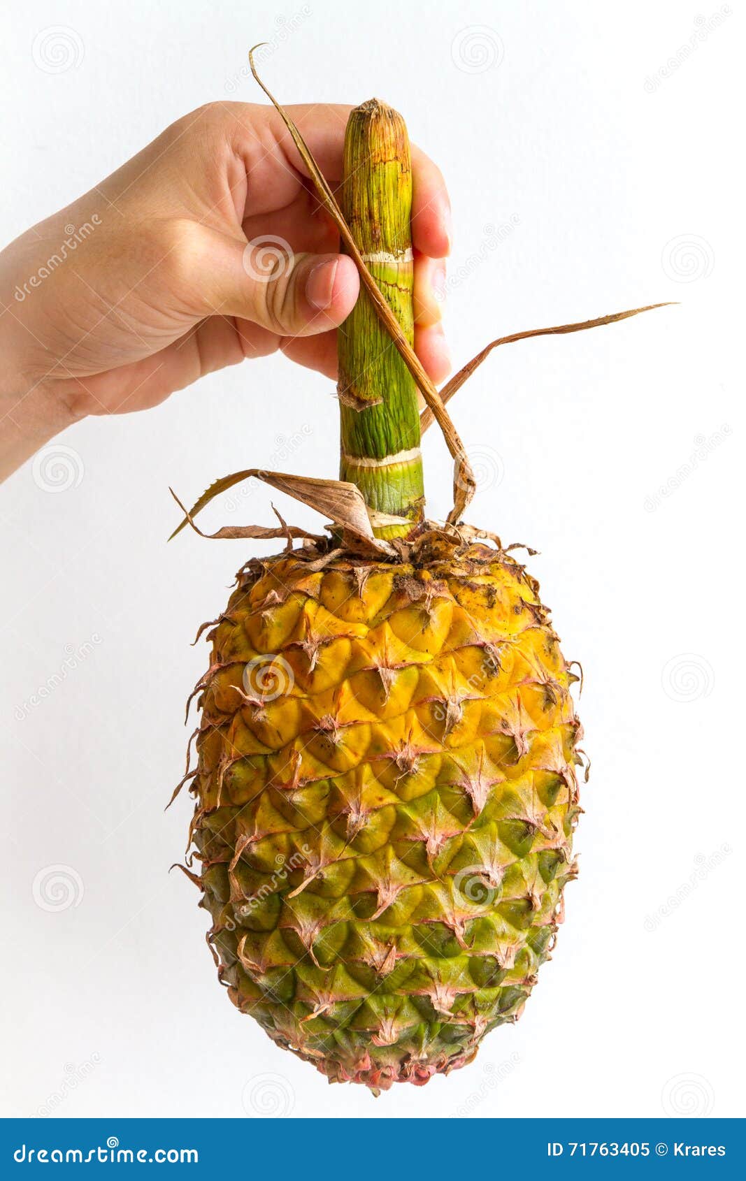Pineapple with Long Stem stock image. Image of asia, pineapple - 71763405
