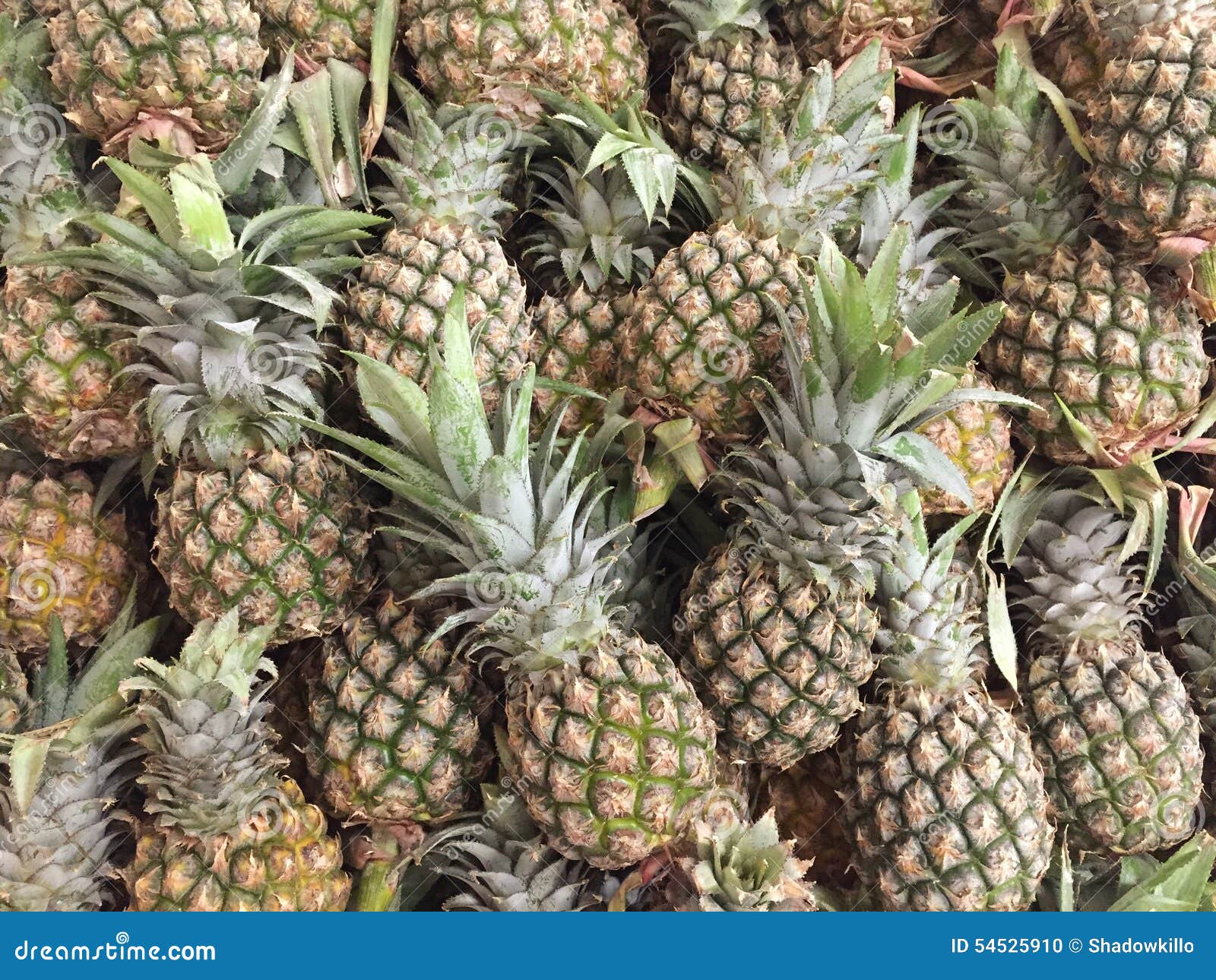 Pineapple stock photo. Image of yellow, food, pineapple - 54525910