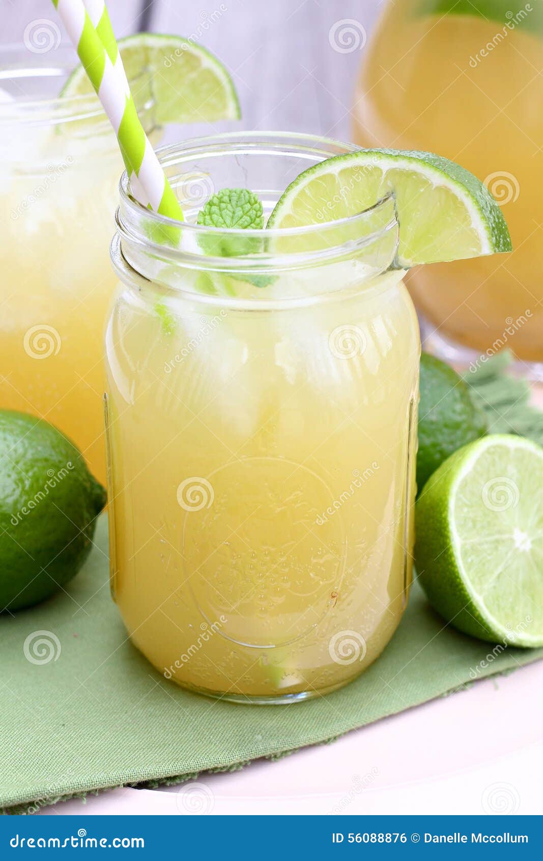 Pineapple Mint Mentha Suaveolens Variegata, Plants With Variegated ...