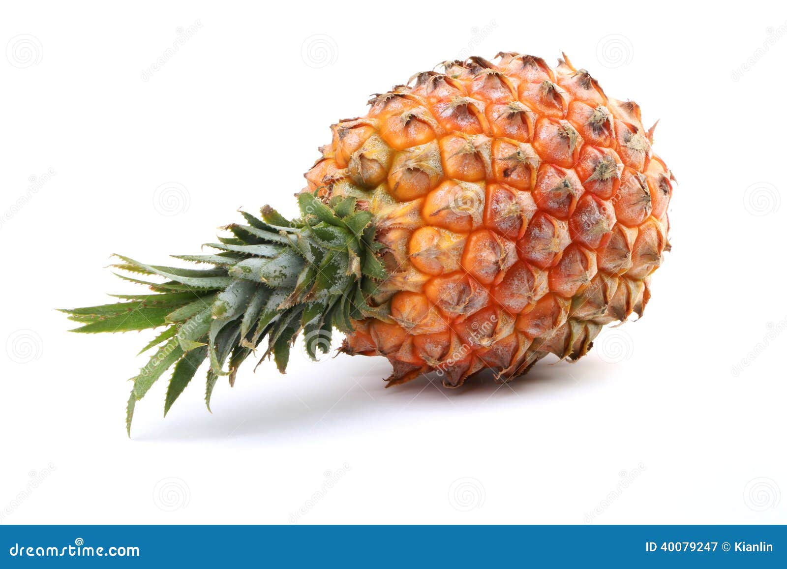 Pineapple stock image. Image of pineapple, life, green - 40079247