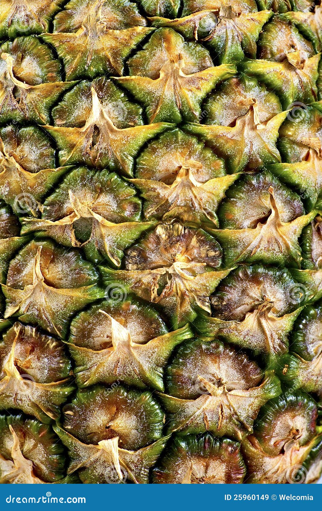 Pineapple Pattern stock image. Image of tropic, nature - 25960149