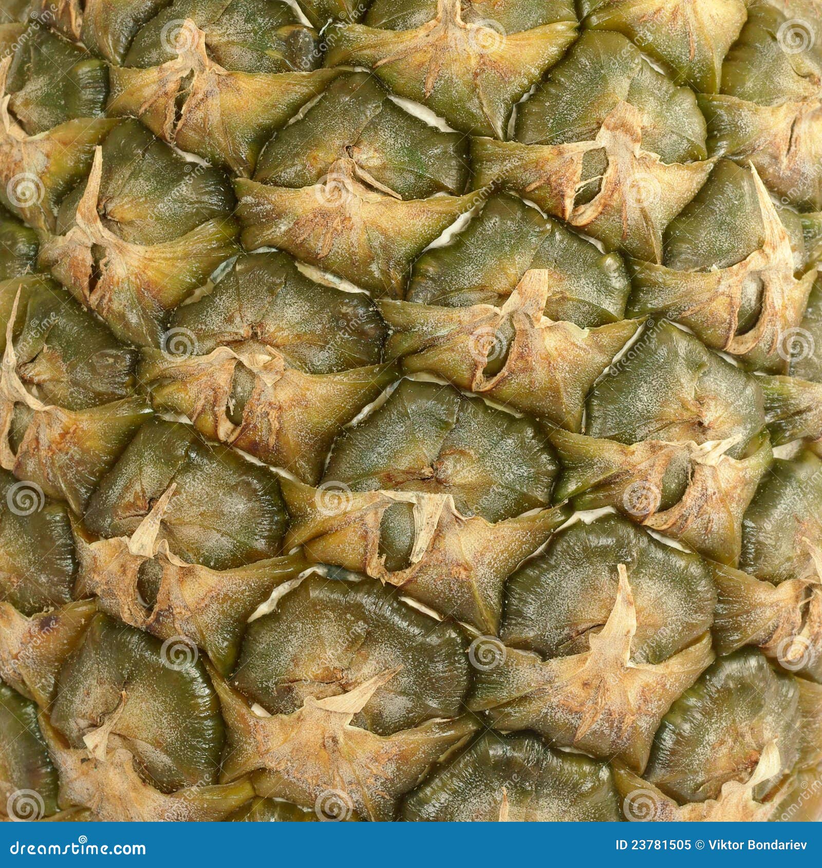 Pineapple peel stock image. Image of detail, healthy - 23781505