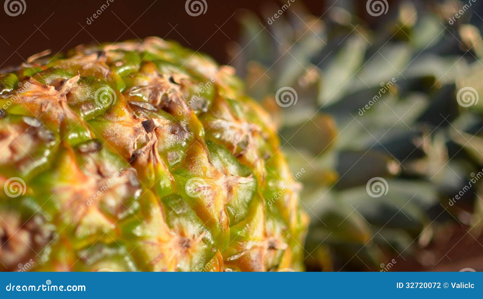 Pineapple stock photo. Image of green, sweet, fresh, taste - 32720072