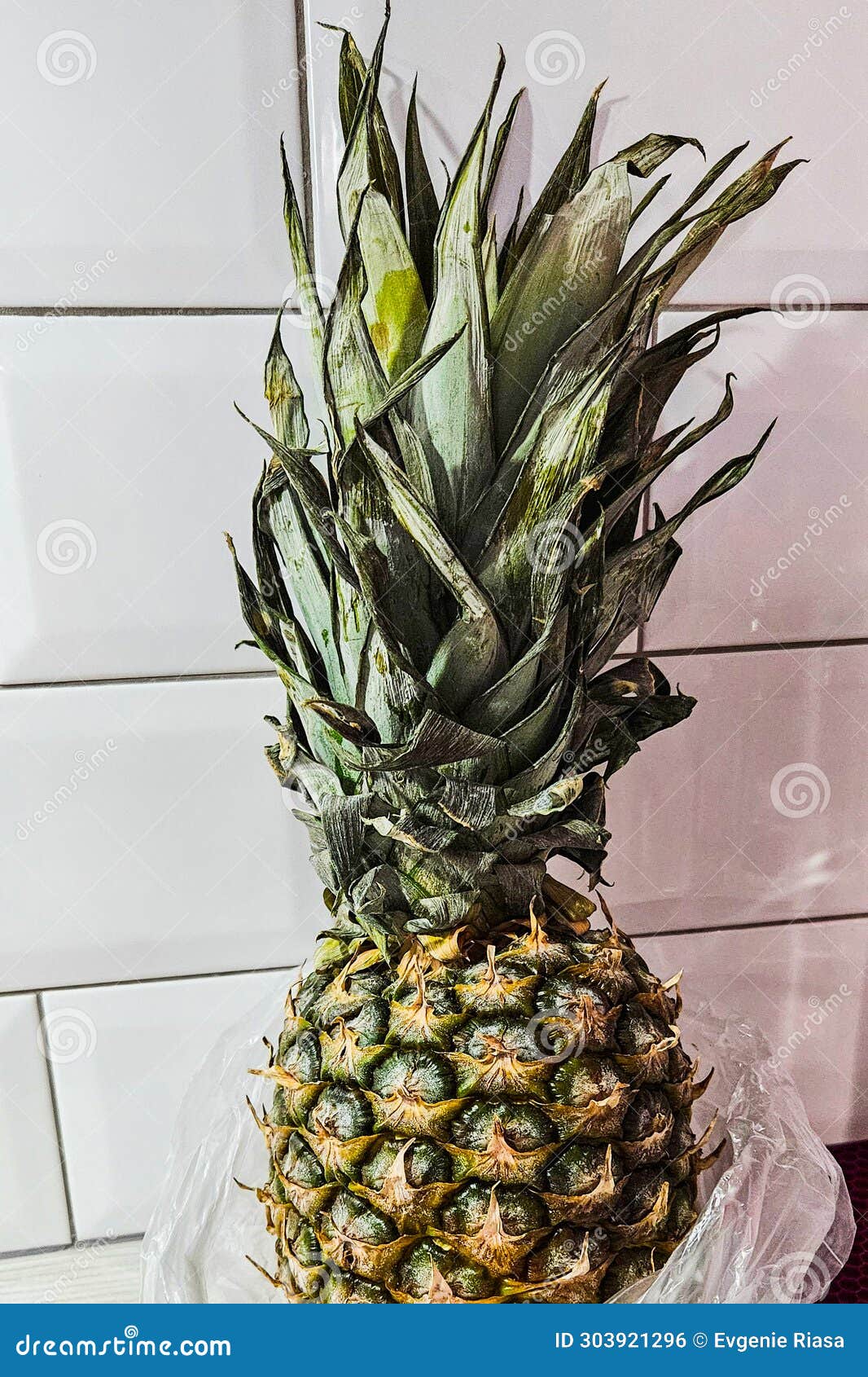 Pineapple in a Plastic Bag. Photo of Pineapple in a Transparent Plastic ...
