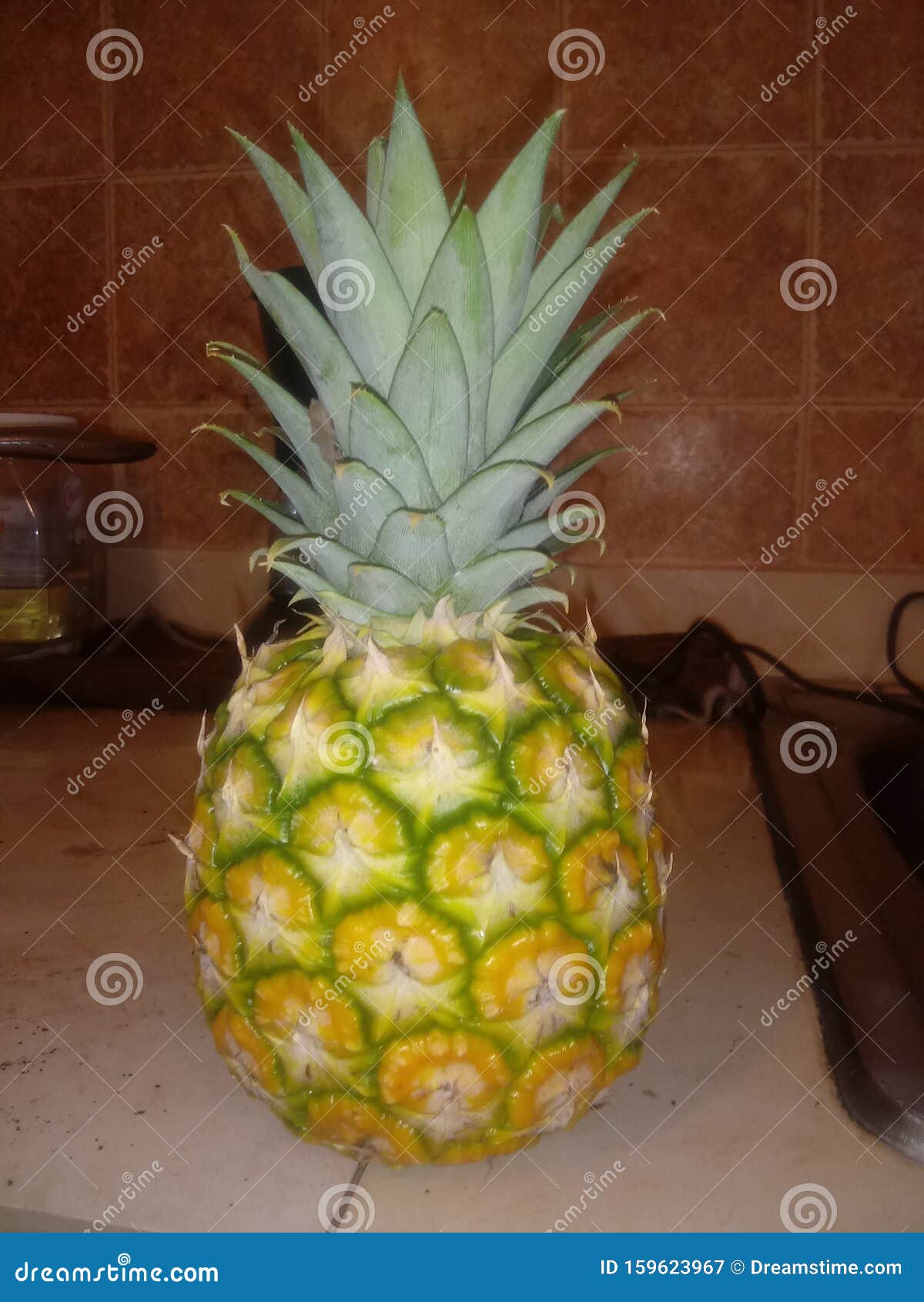 Pineapple from Puerto Rico Fruit from Tree Stock Image - Image of tree ...