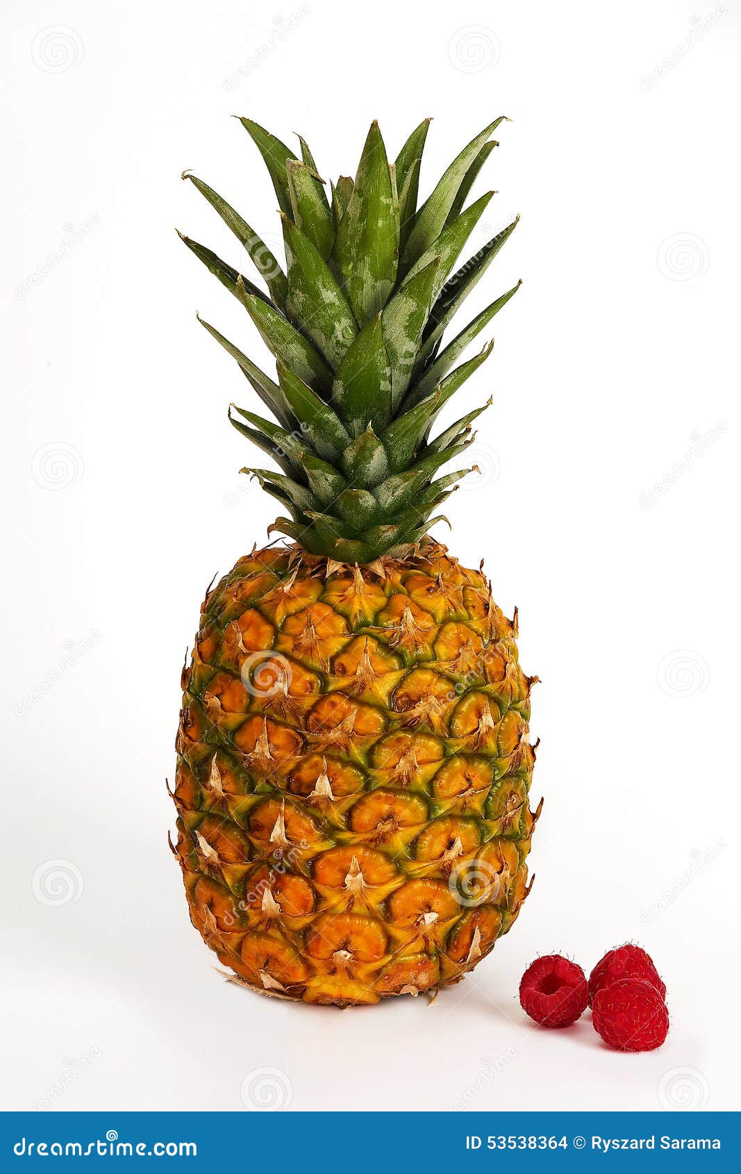 Pineapple and raspberries stock photo. Image of pineapple - 53538364