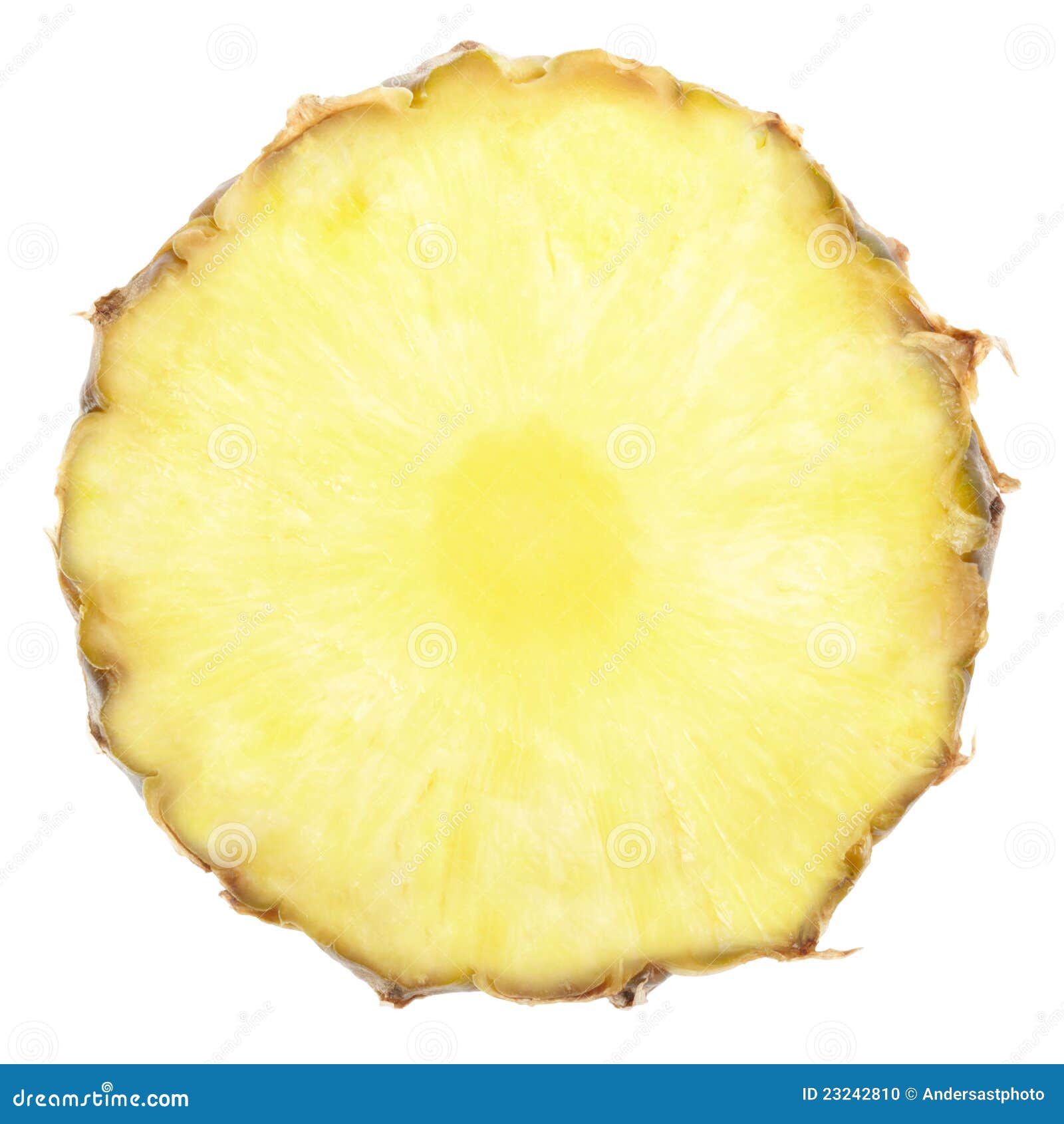 Pineapple round slice stock photo. Image of fruit, detail - 23242810