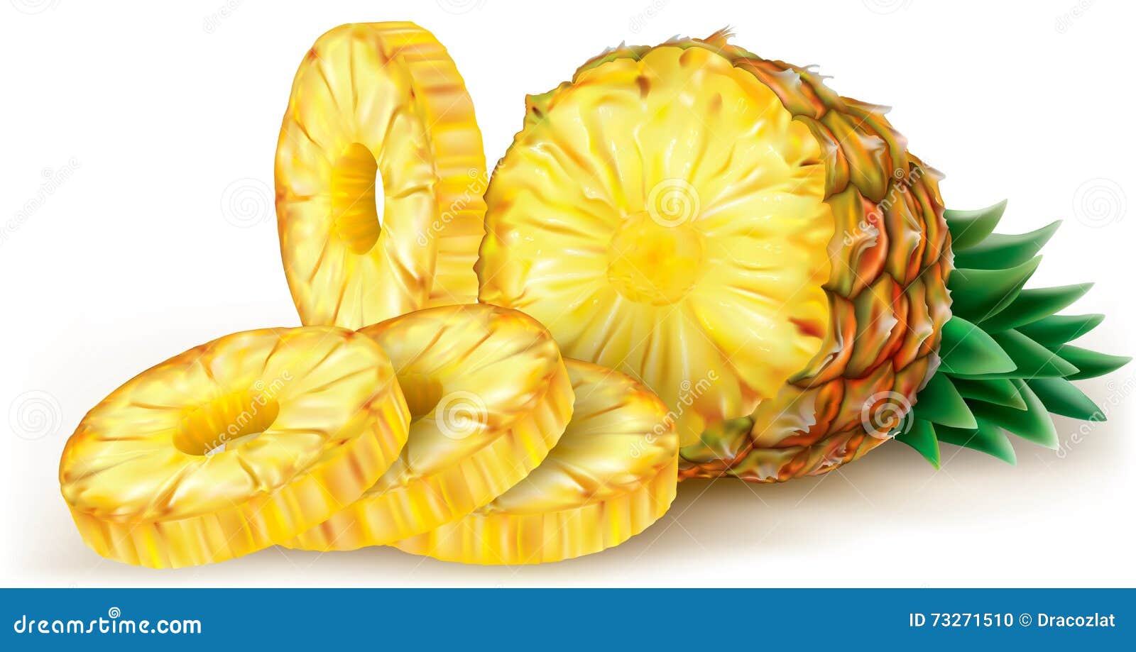 Pineapple and round slices stock vector. Illustration of dieting - 73271510