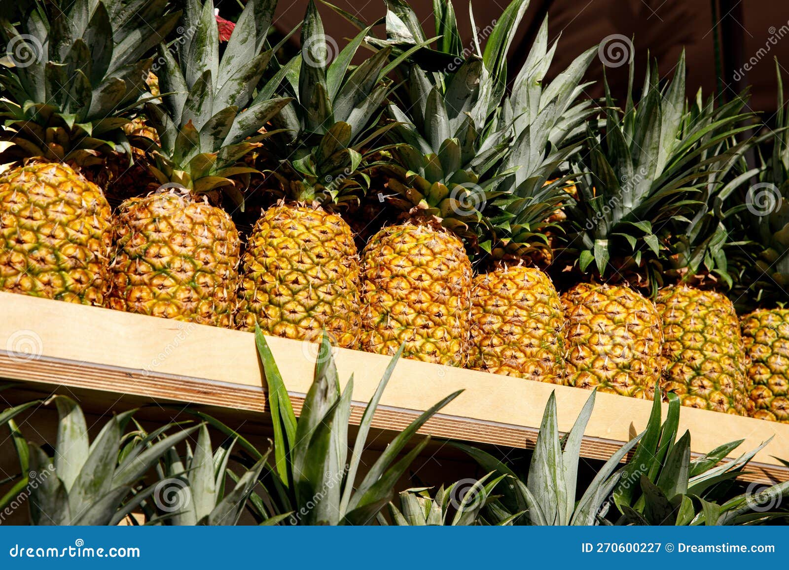 Pineapple Row at the Market. Stock Image - Image of juice, texture ...