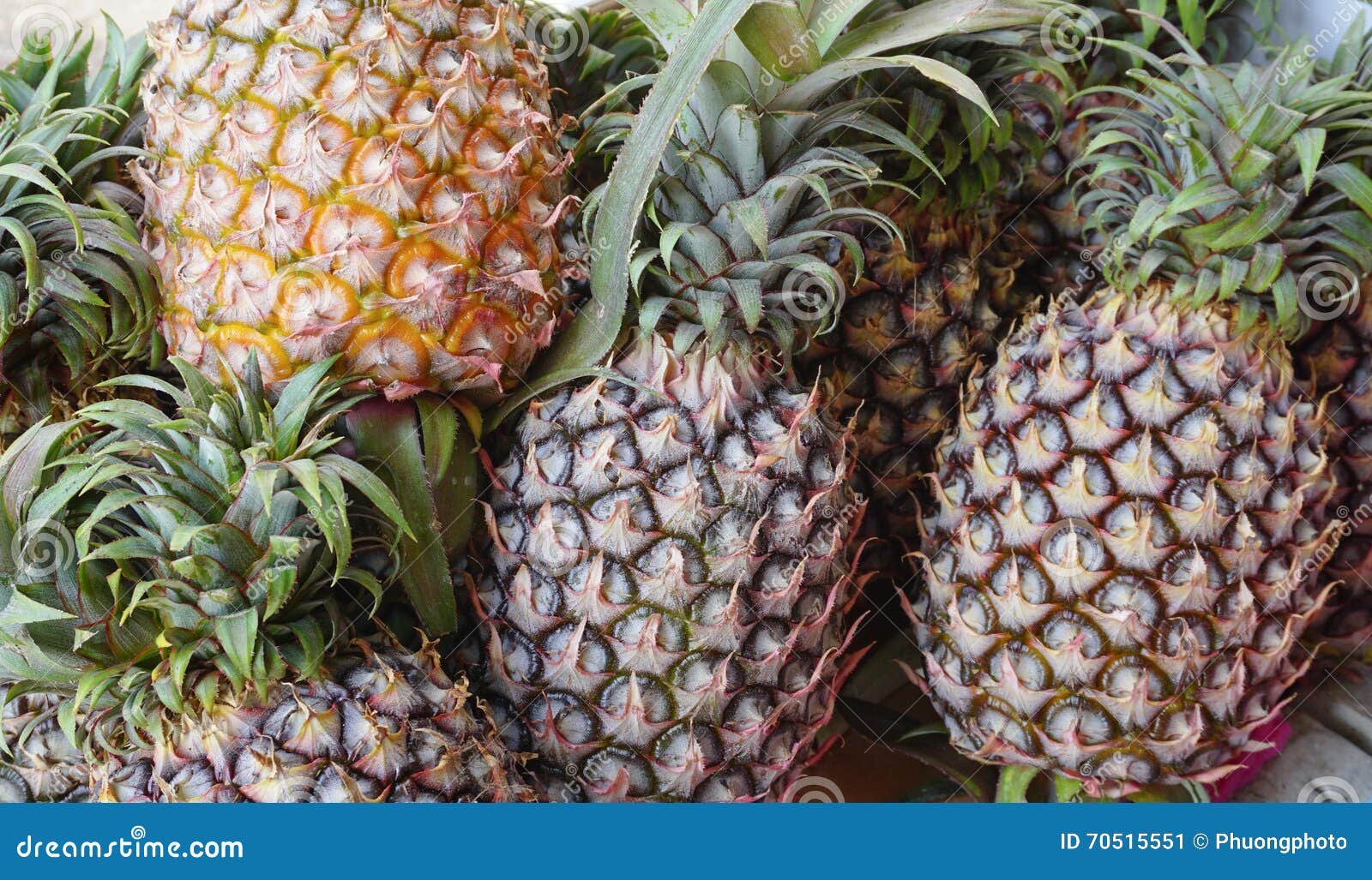 Pineapple stock image. Image of sale, boat, birds, temple - 70515551