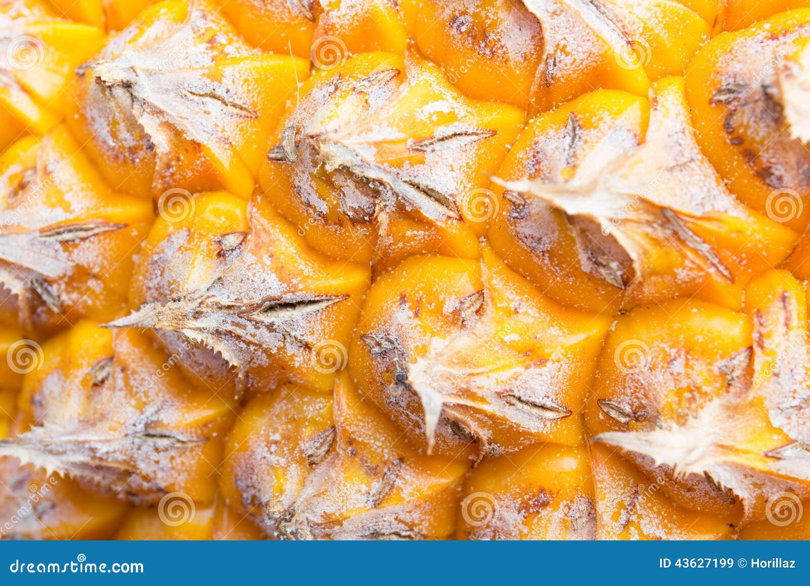 Pineapple shell stock image. Image of macro, food, natural - 43627199