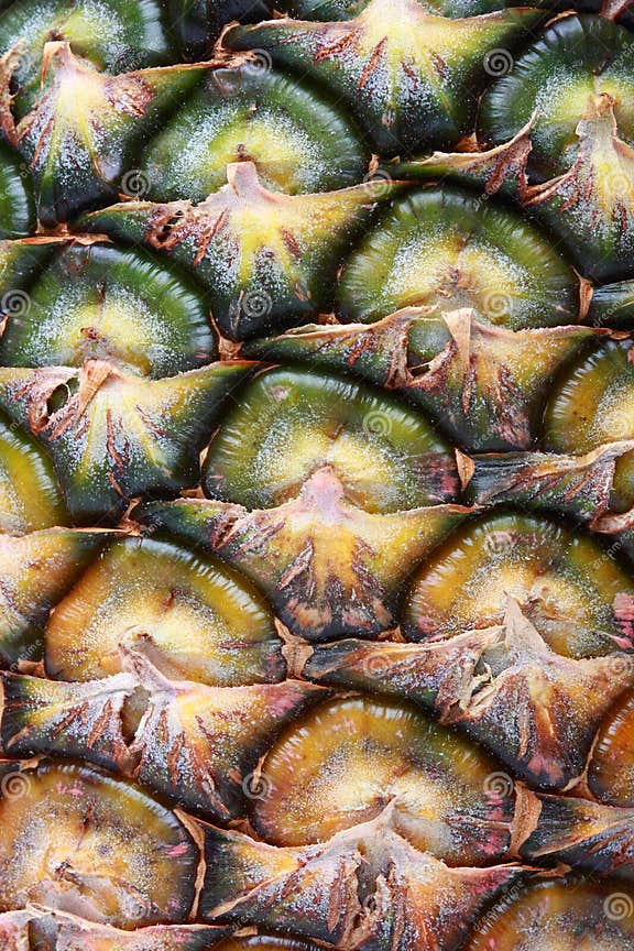 Pineapple shell stock image. Image of pineapple, pattern - 35860837