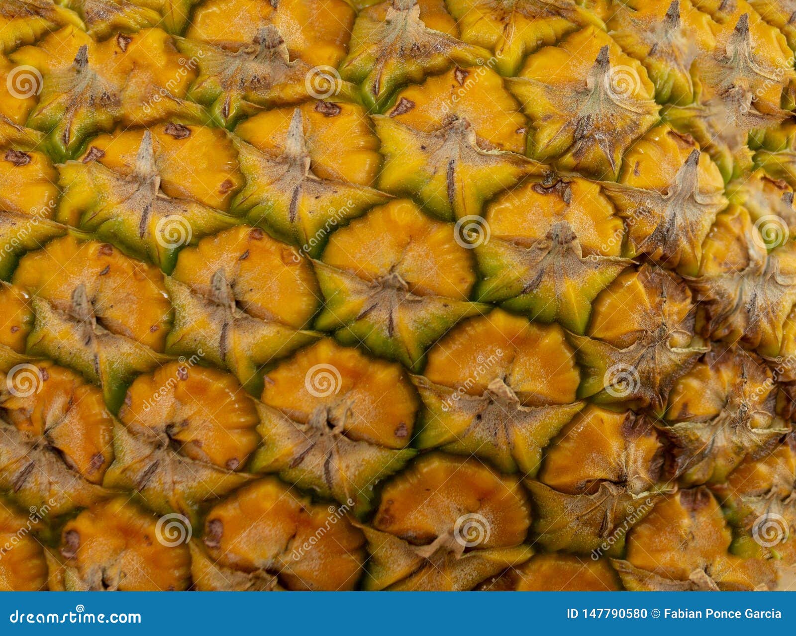 Pineapple shell texture stock photo. Image of scrap - 147790580