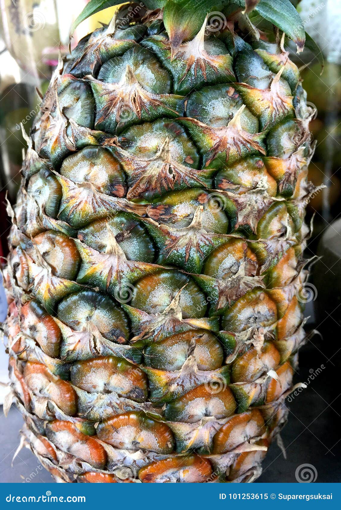 Pineapple Shell Texture stock image. Image of diet, health - 101253615