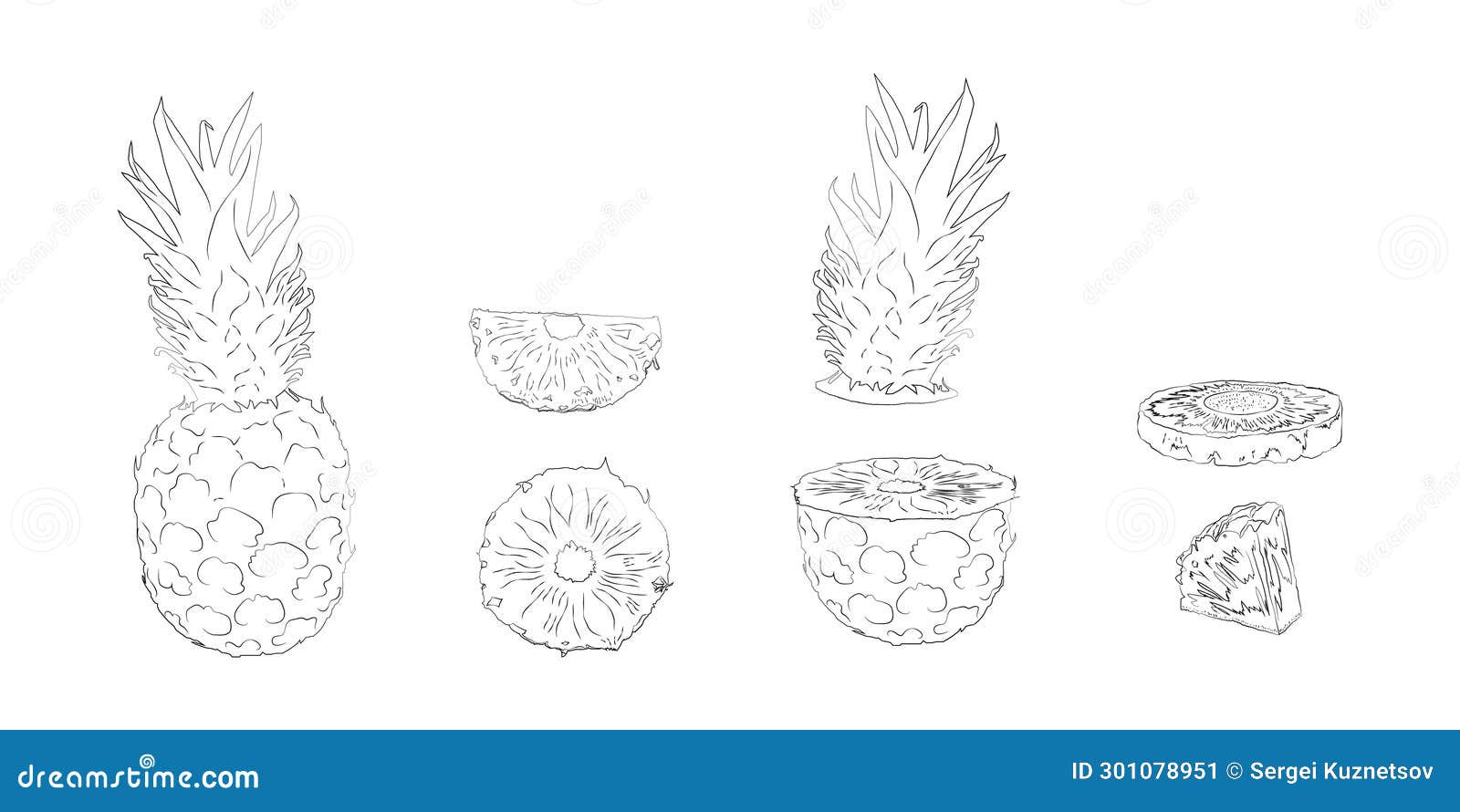 Pineapple Sketch Vector Illustration. Pineapple | CartoonDealer.com ...