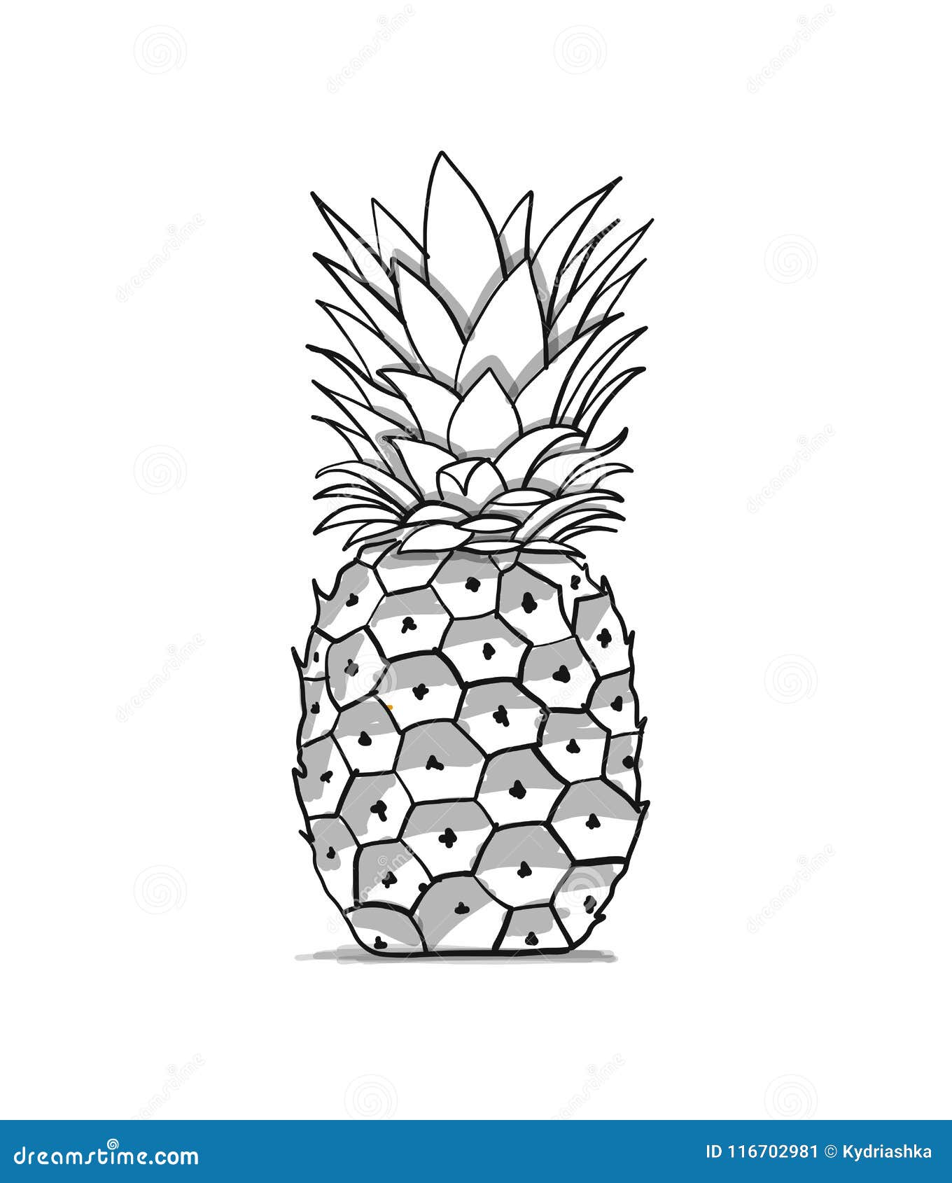 Pineapple, Sketch for Your Design Stock Vector - Illustration of doodle ...