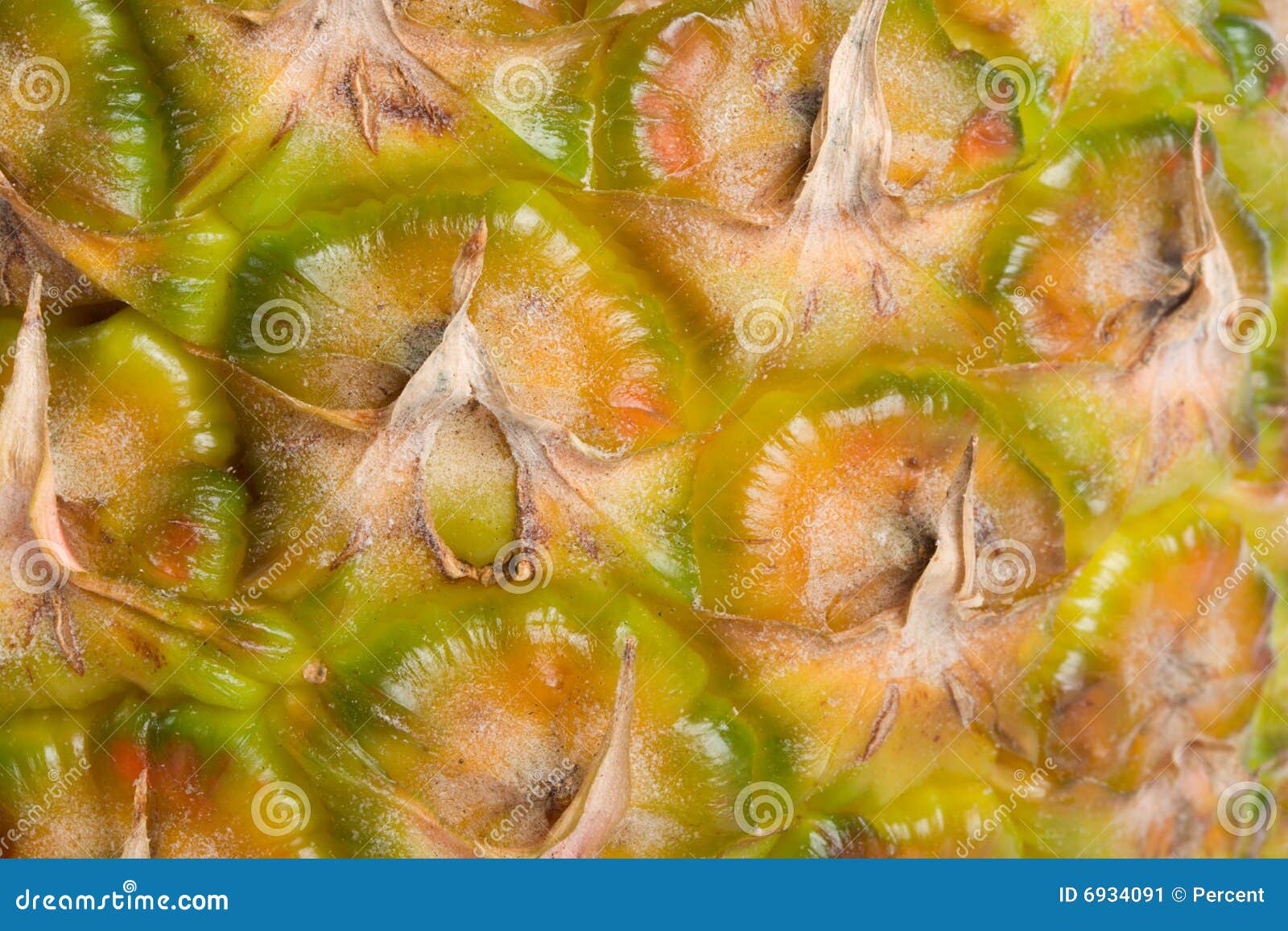 Pineapple skin stock image. Image of nature, fruit, plant - 6934091
