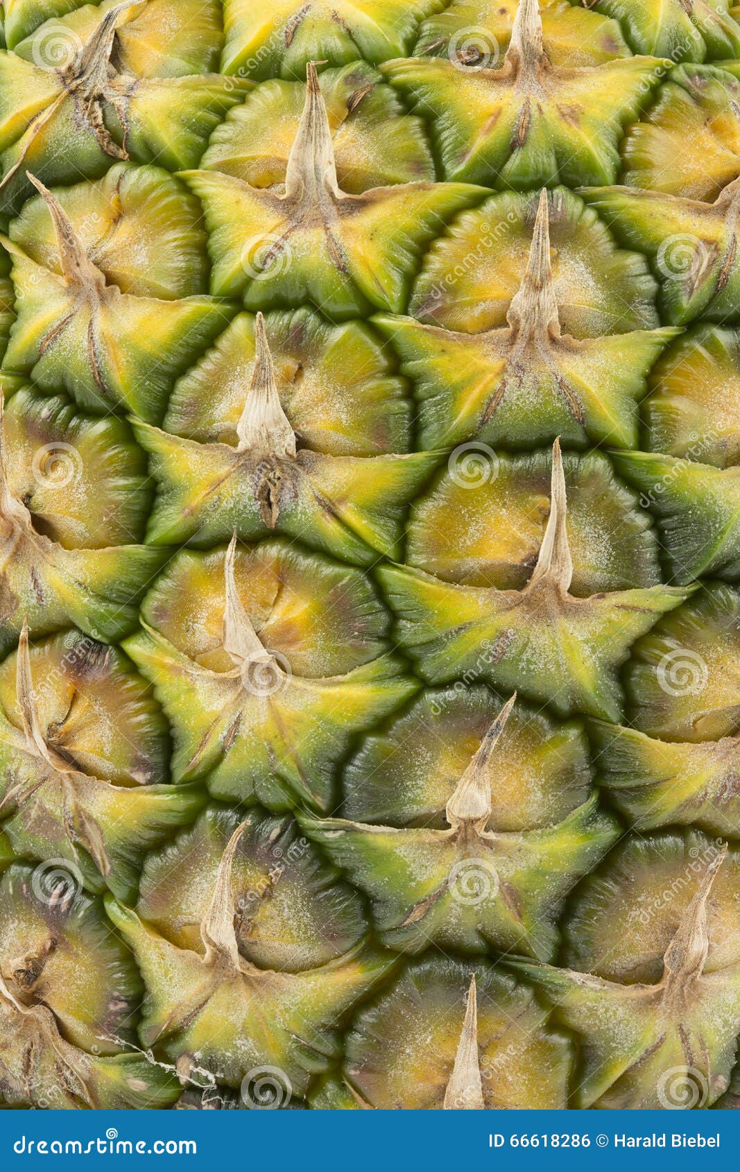 Pineapple Skin Texture Royalty-Free Stock Image | CartoonDealer.com ...