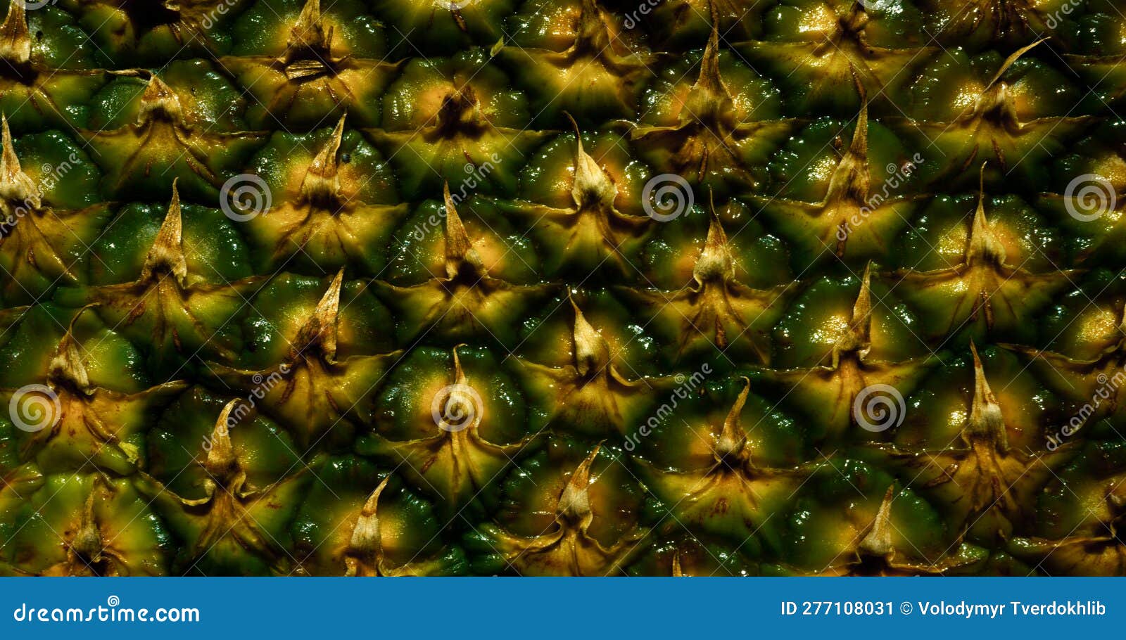 Pineapple Skin Close Up. Pineapple Pattern. Pineapple Bark. Stock Image ...