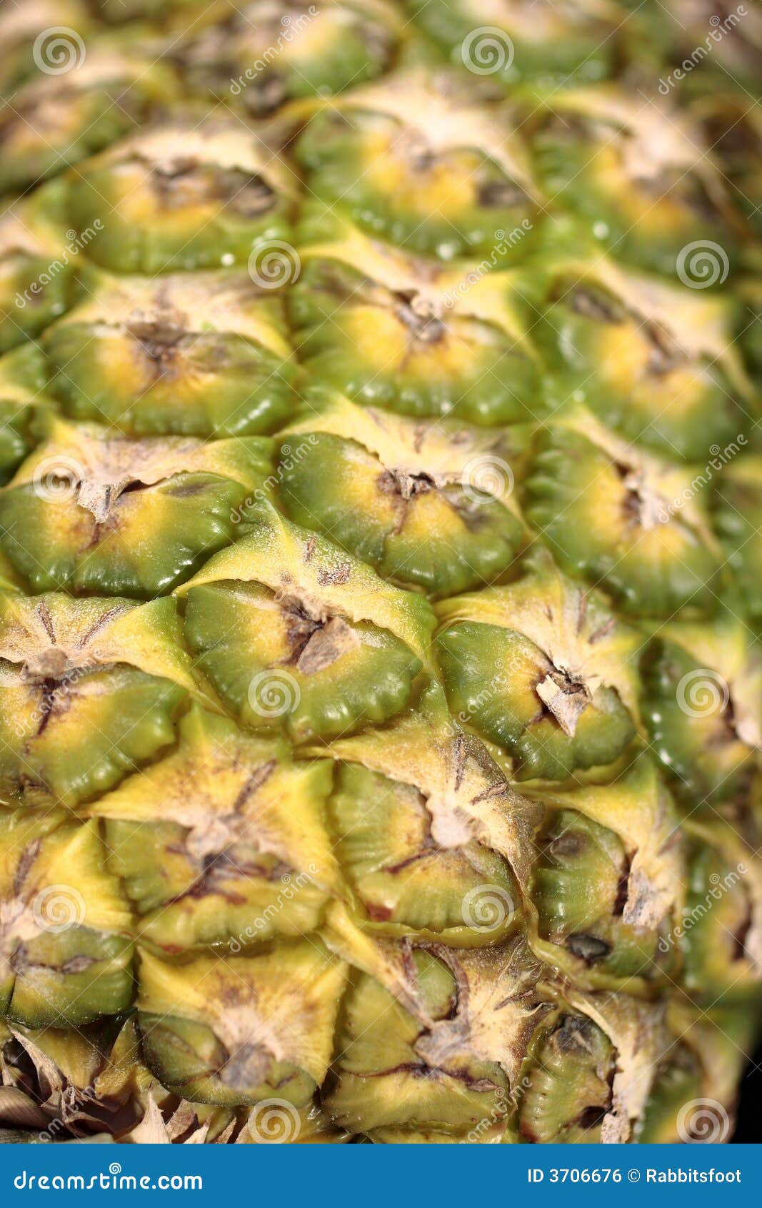 Pineapple skin closeup stock photo. Image of texture, exterior - 3706676