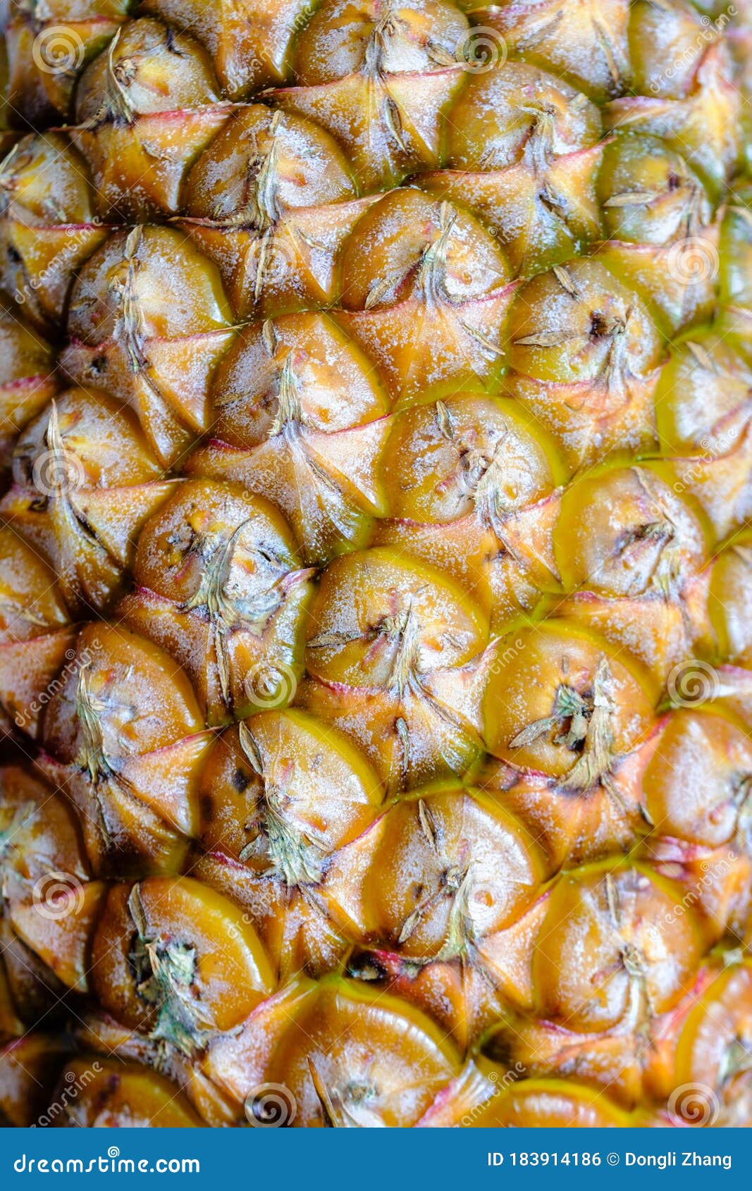 Pineapple Skin Macro View Texture Used for the Background Stock Photo ...