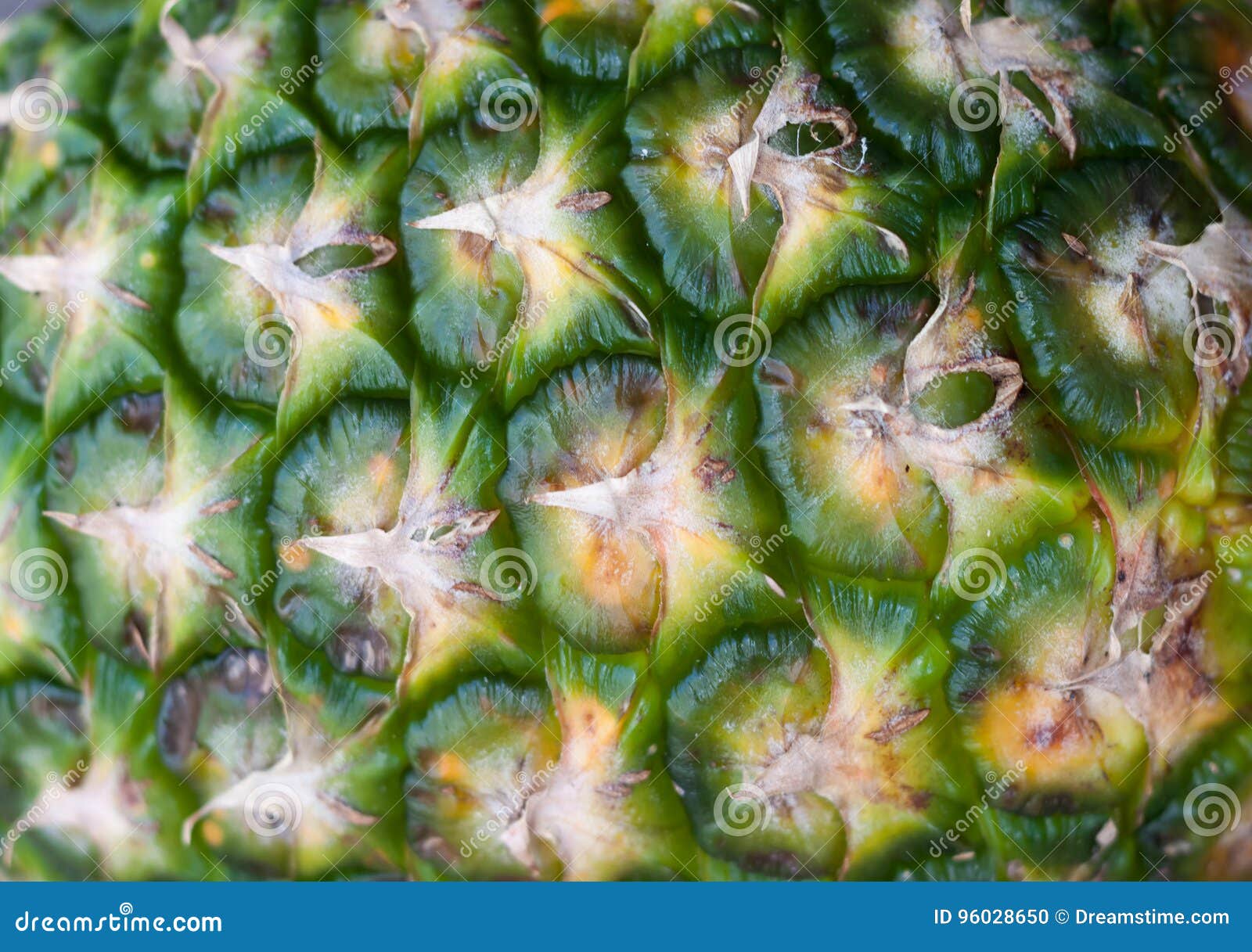 Pineapple skin stock photo. Image of contrast, table - 96028650
