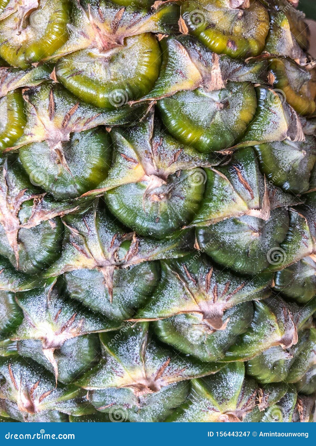 Pineapple Skin, Surface of Pineapple Close Up Stock Image - Image of ...