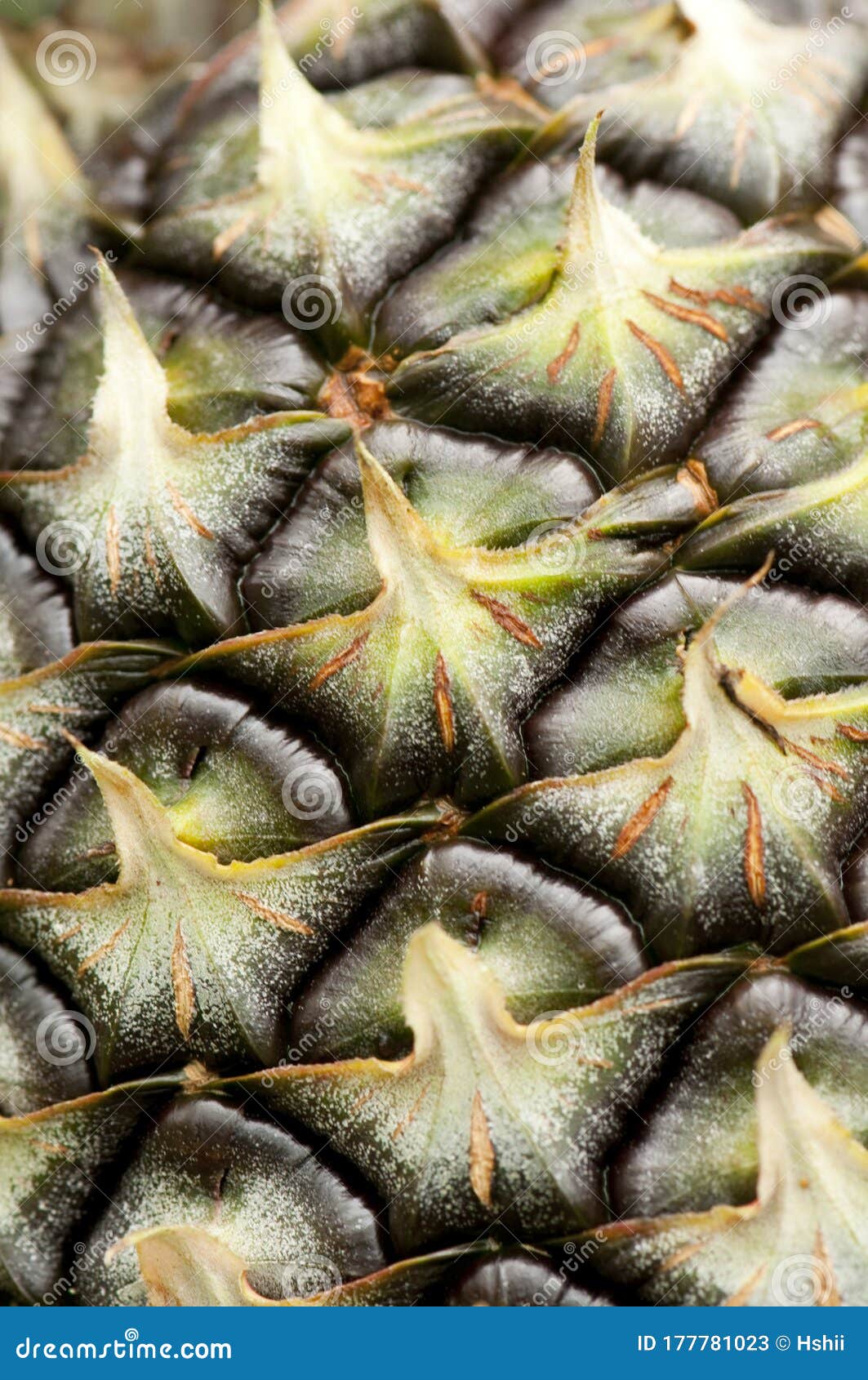 Pineapple Skin Texture As Background Stock Image - Image of peel, fresh ...