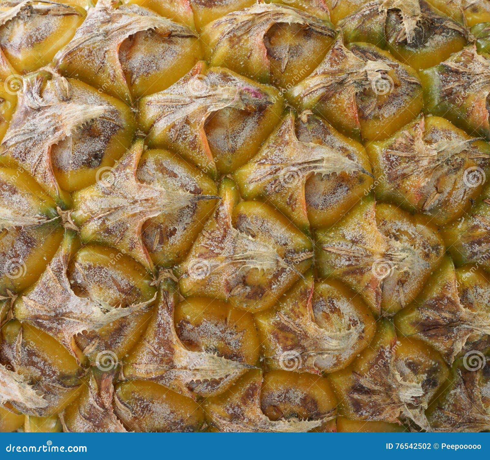 Pineapple skin texture stock photo. Image of abstract - 76542502