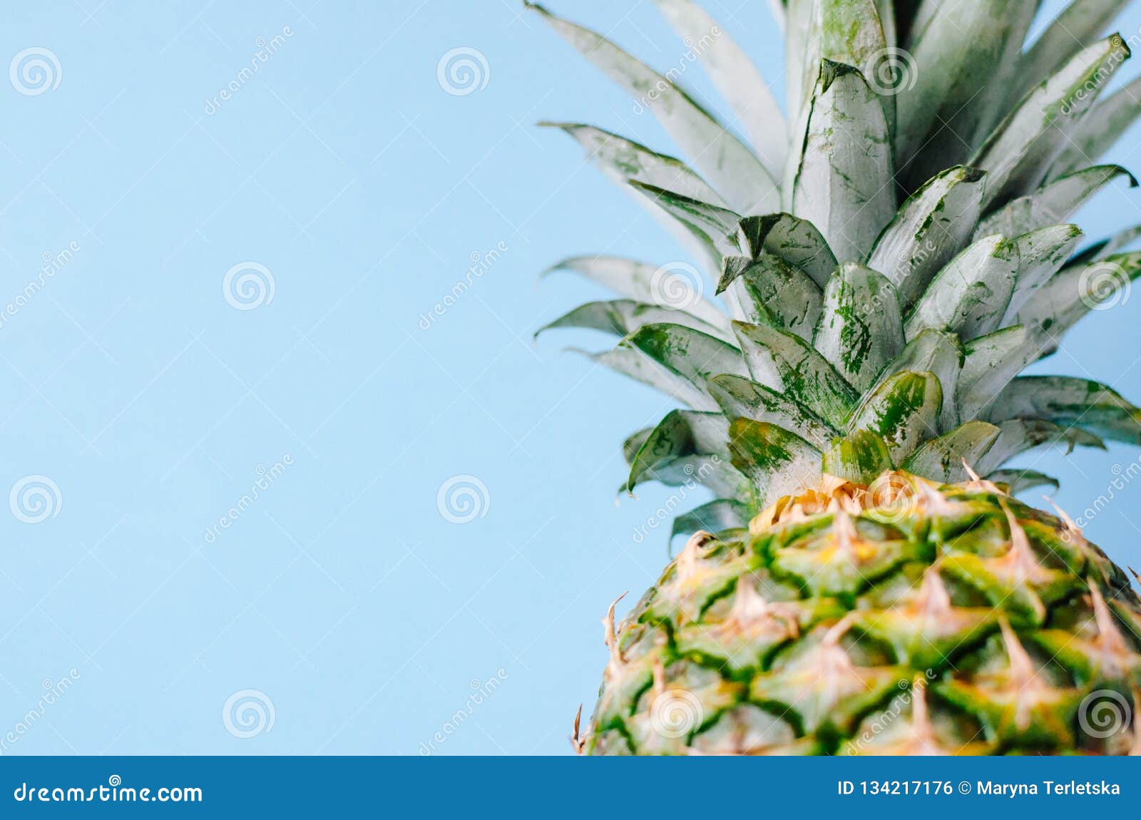 Pineapple Slice Close Up on a Blue Background Stock Photo - Image of ...