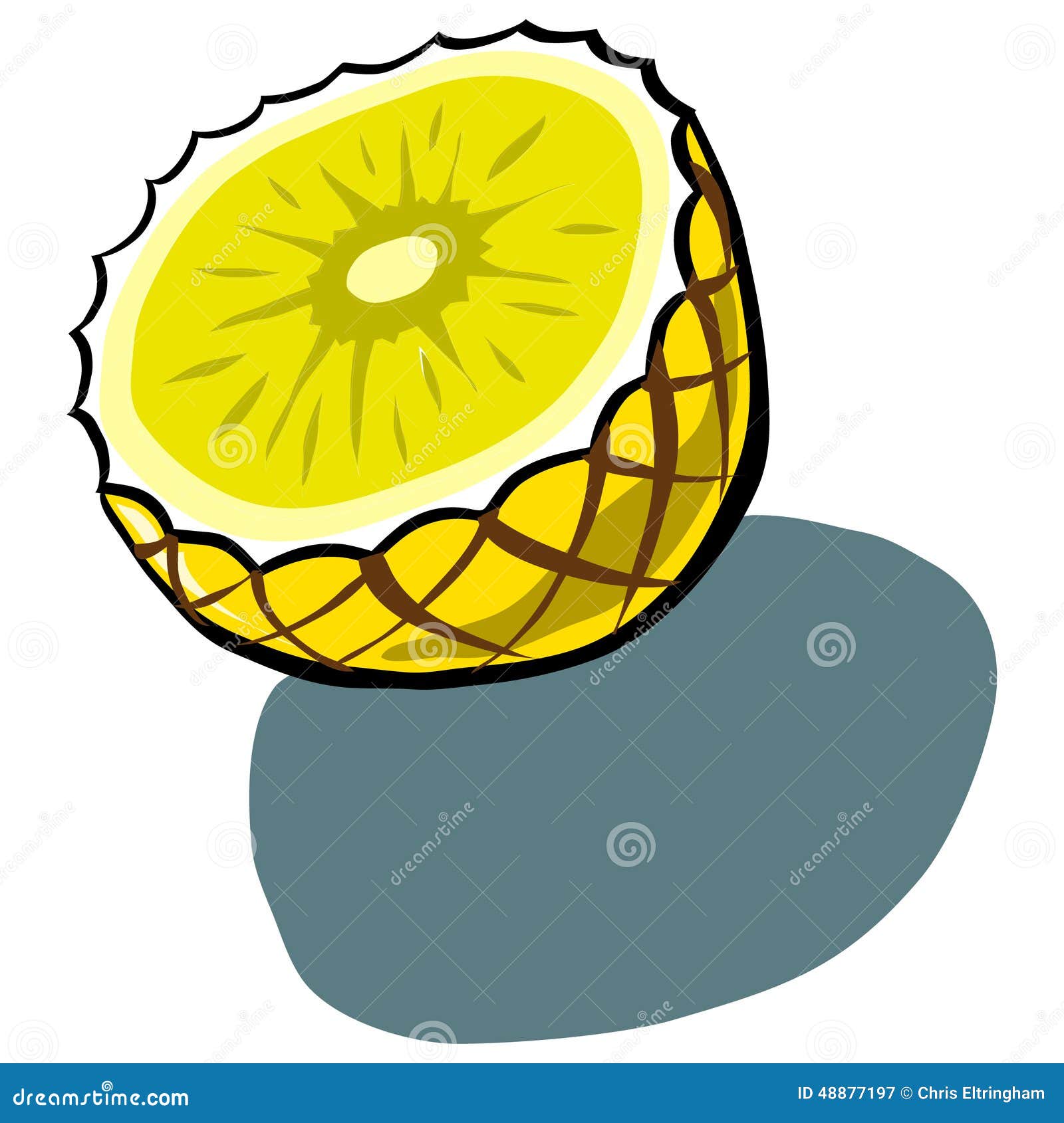 Pineapple Slice stock vector. Illustration of health - 48877197