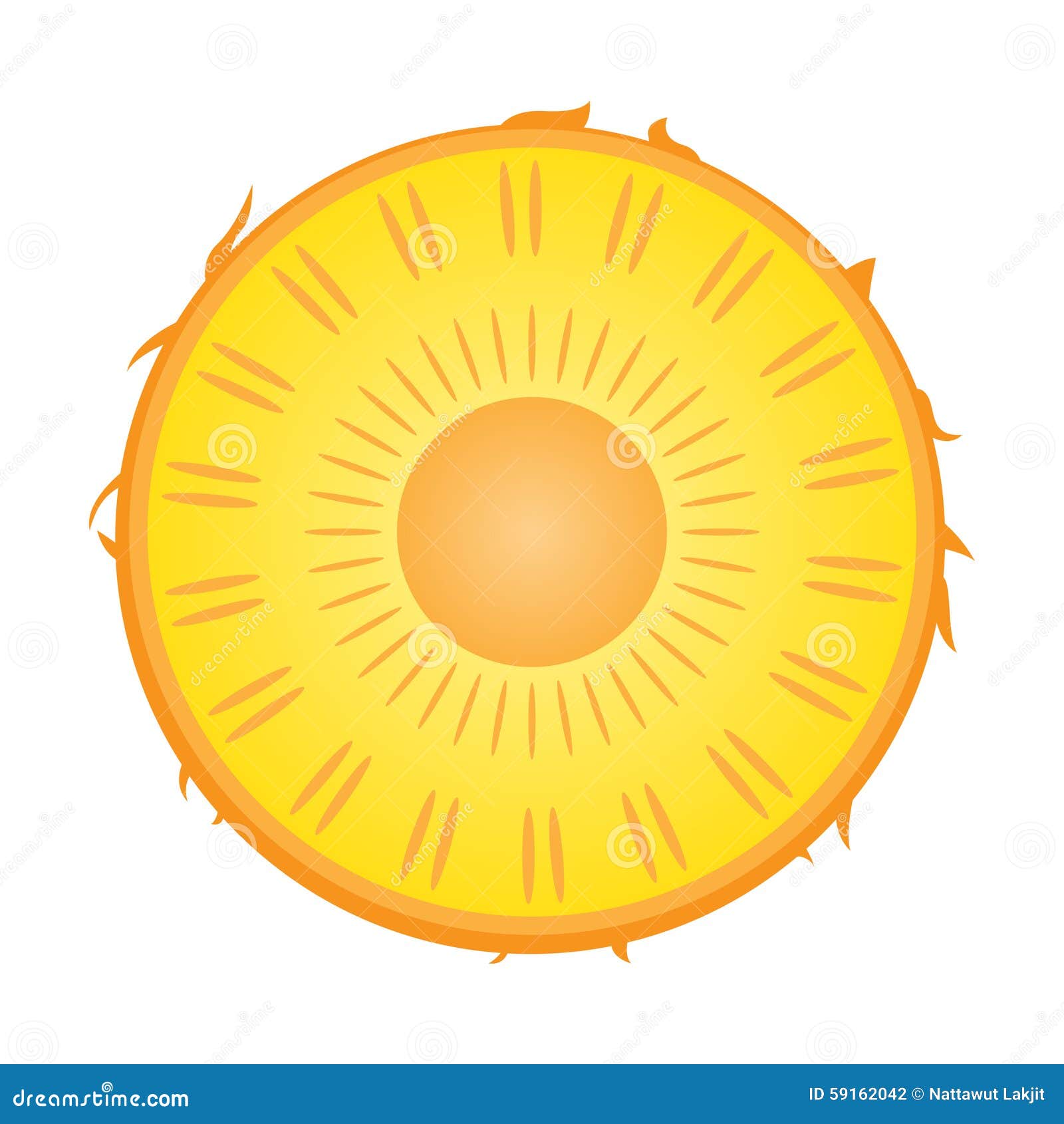 Pineapple sliced in half stock vector. Illustration of peach - 59162042