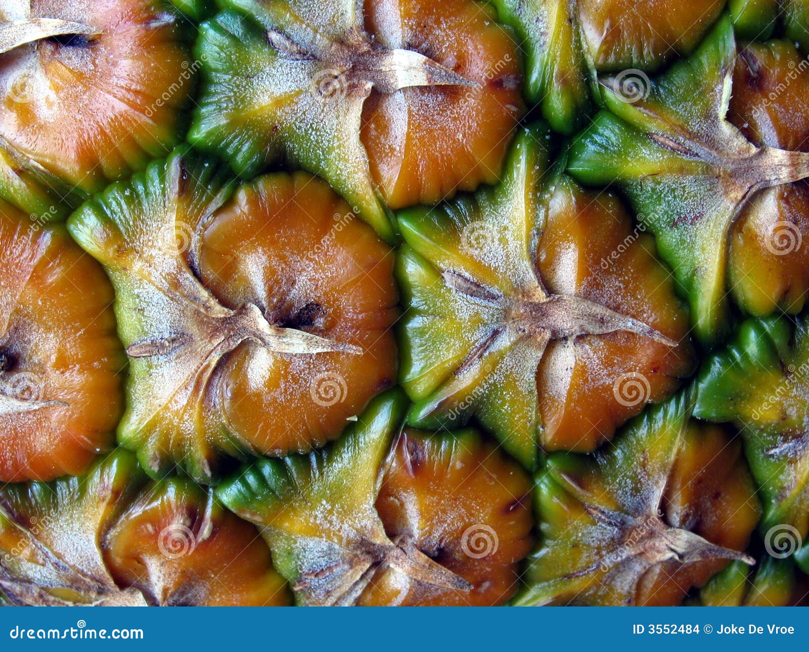 Pineapple structure stock photo. Image of dessert, fruit - 3552484