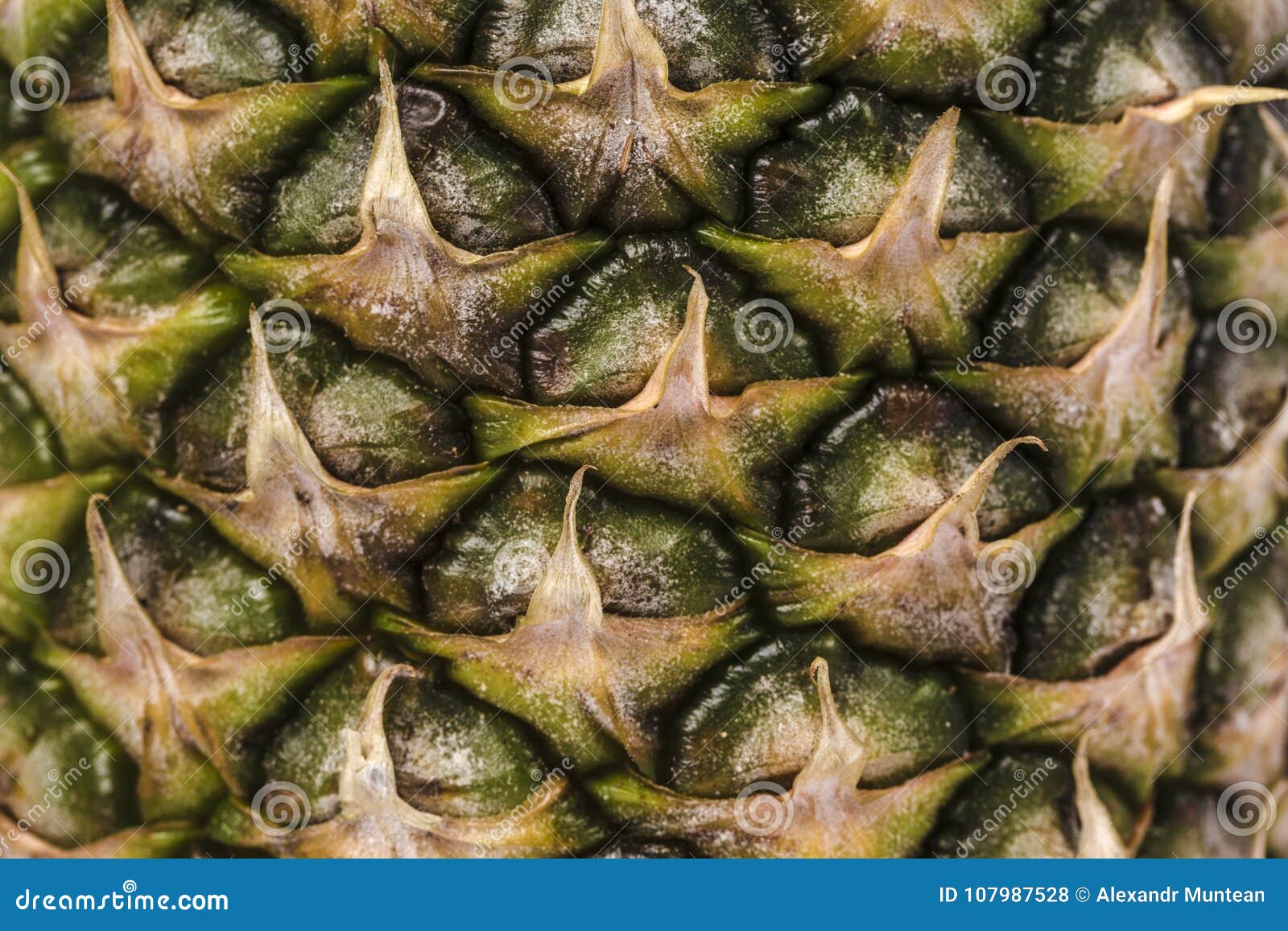 Pineapple surface texture stock photo. Image of color - 107987528
