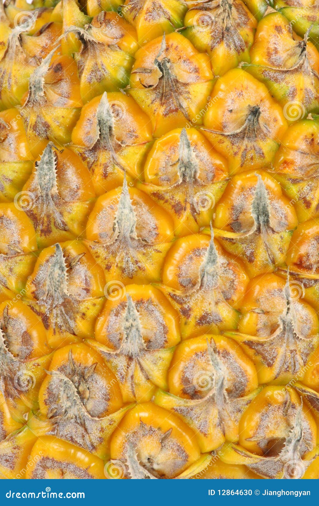 Pineapple texture stock photo. Image of gourmet, caribbean - 12864630