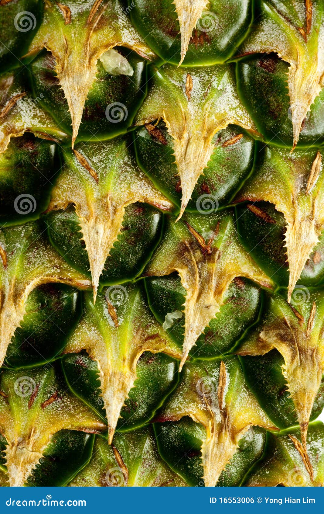 Pineapple texture stock photo. Image of ripe, food, pineapple - 16553006