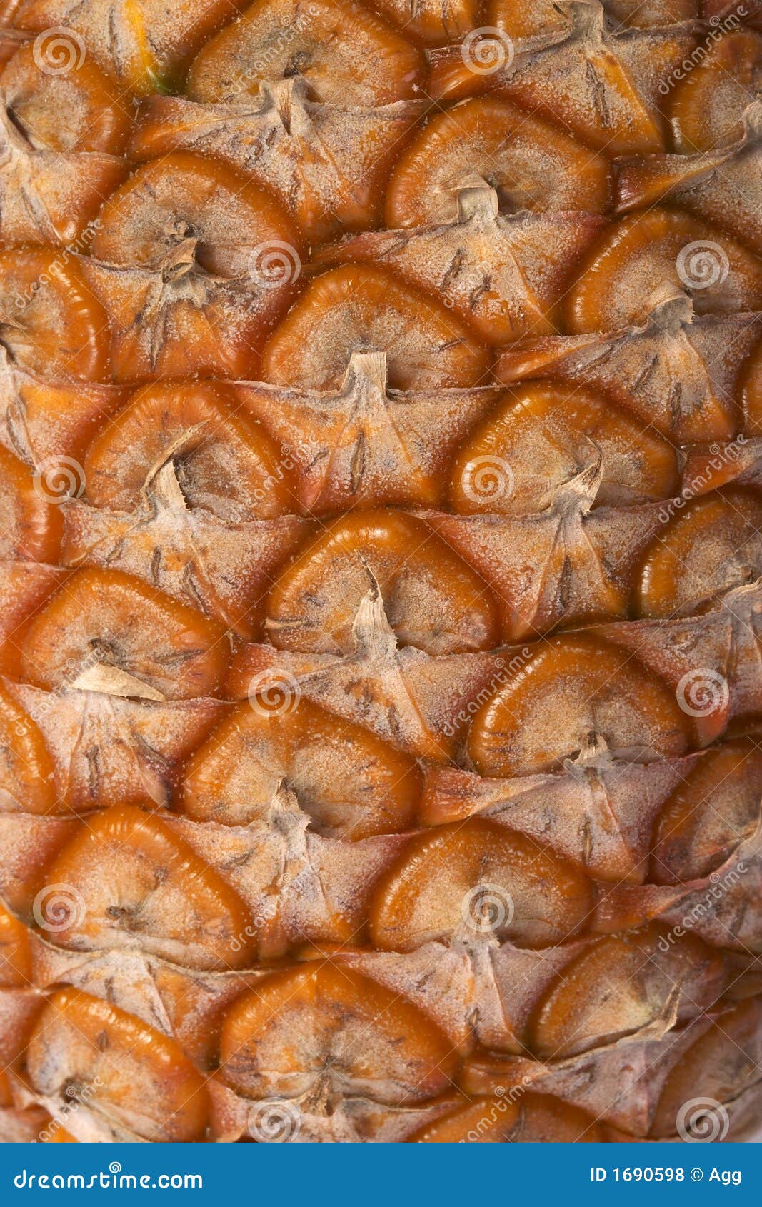 Pineapple texture stock photo. Image of cook, ripe, texture - 1690598
