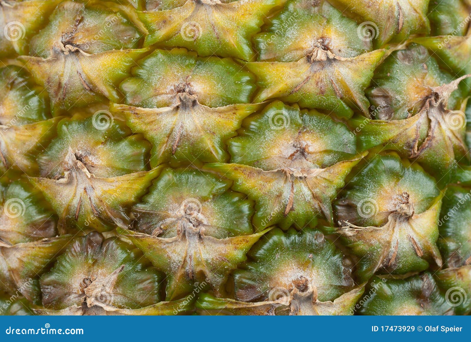 Pineapple texture stock image. Image of cells, pattern - 17473929