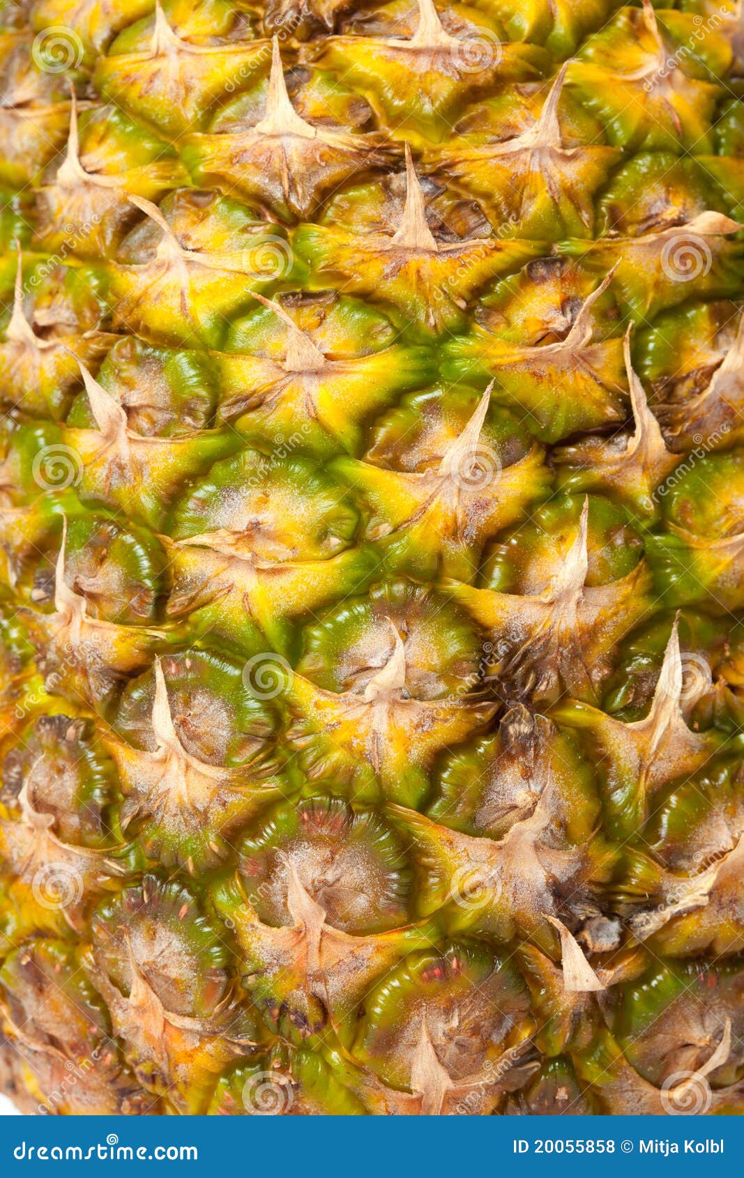 Pineapple texture stock photo. Image of nutrition, pattern - 20055858