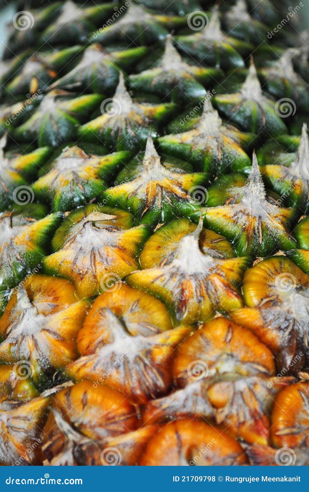 Pineapple texture stock photo. Image of orange, delicious - 21709798